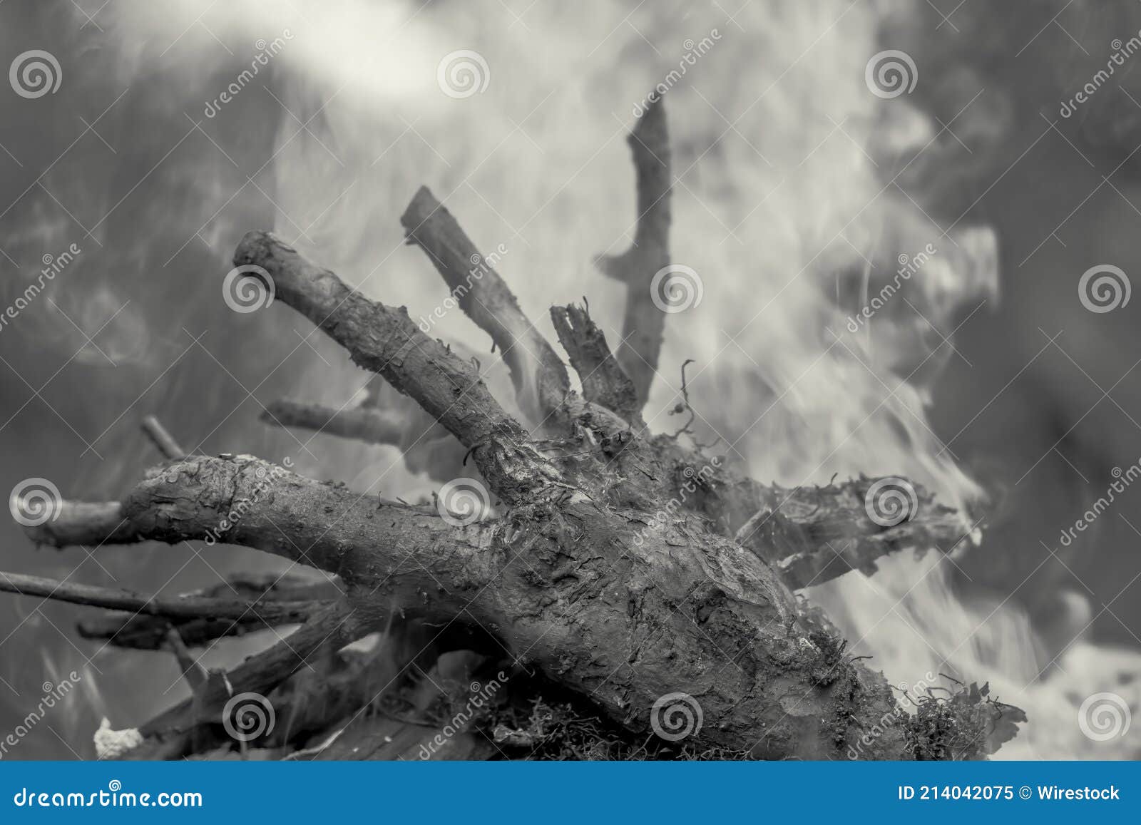 Grayscale Closeup of a Burning Fire Stock Image - Image of ignite ...