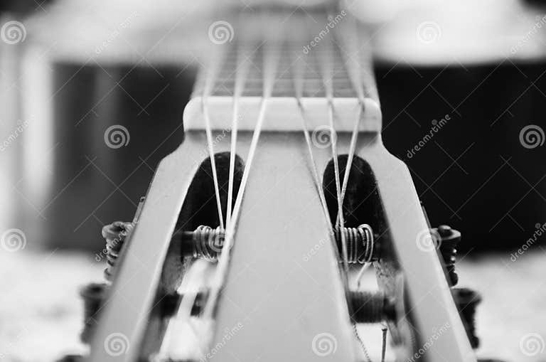 Grayscale Closeup of Guitar Head and Strings, Musical Background Stock ...