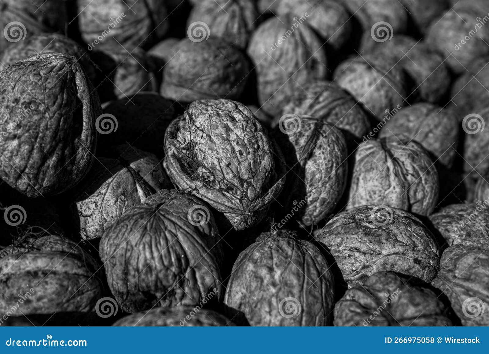 Grayscale Closeup of a Heap of Walnuts. Stock Photo - Image of heap ...
