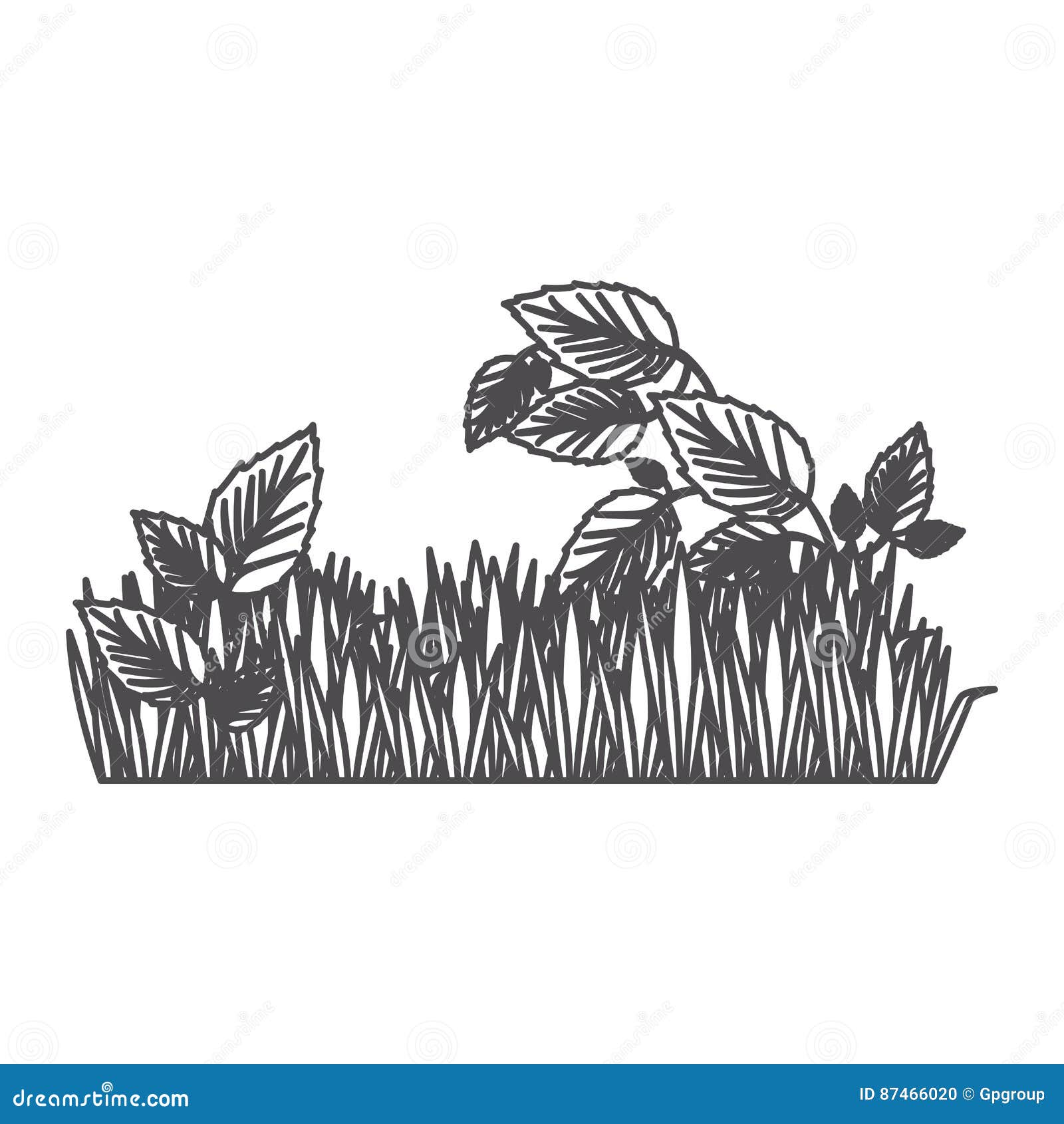 Grayscale Contour of Field Grass and Plants Stock Illustration ...