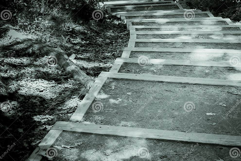 Grayscale of Descending Steps in a Park Stock Photo - Image of ...