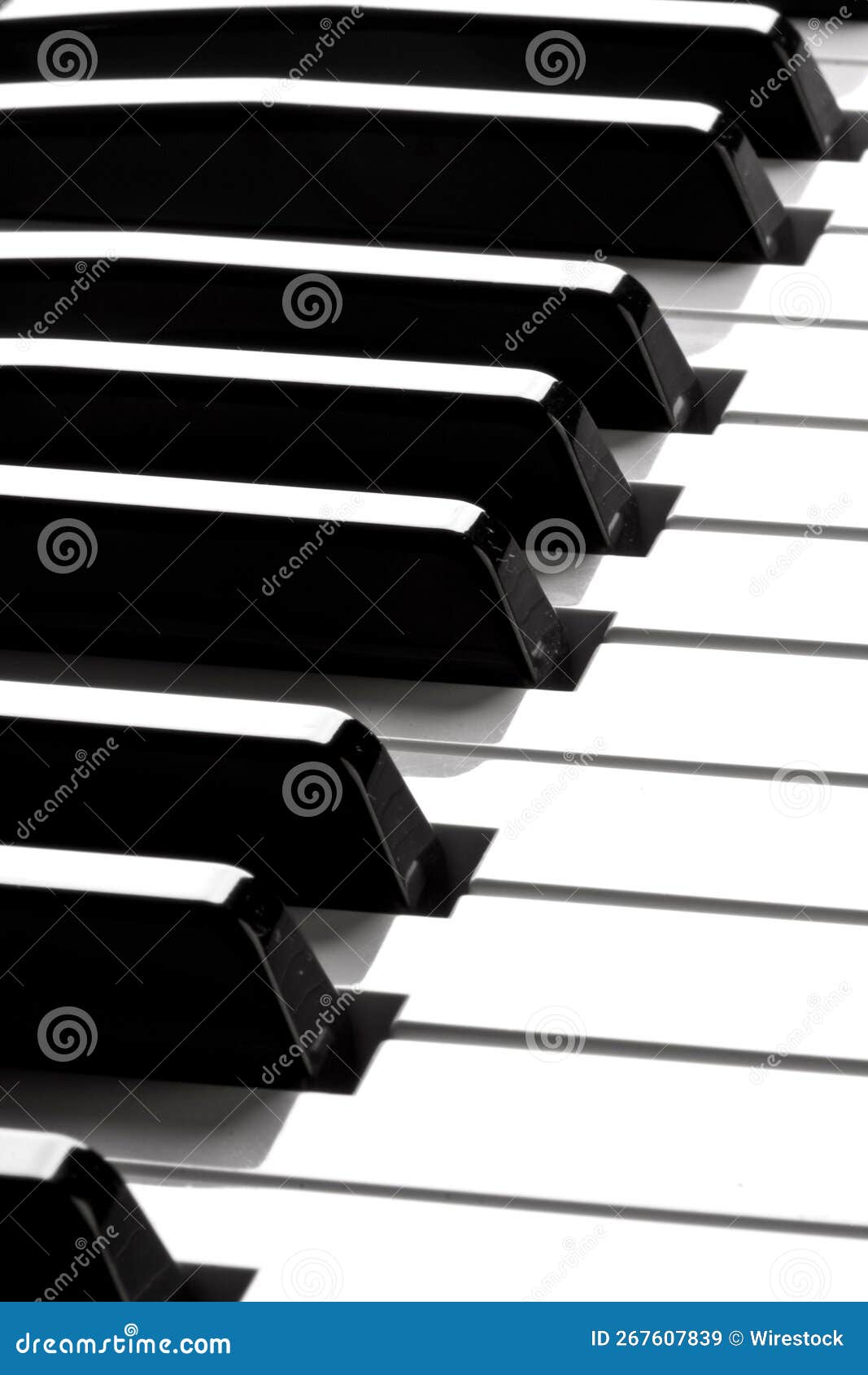 Grayscale of the Electric Piano Keyboard on the Blurred Background ...