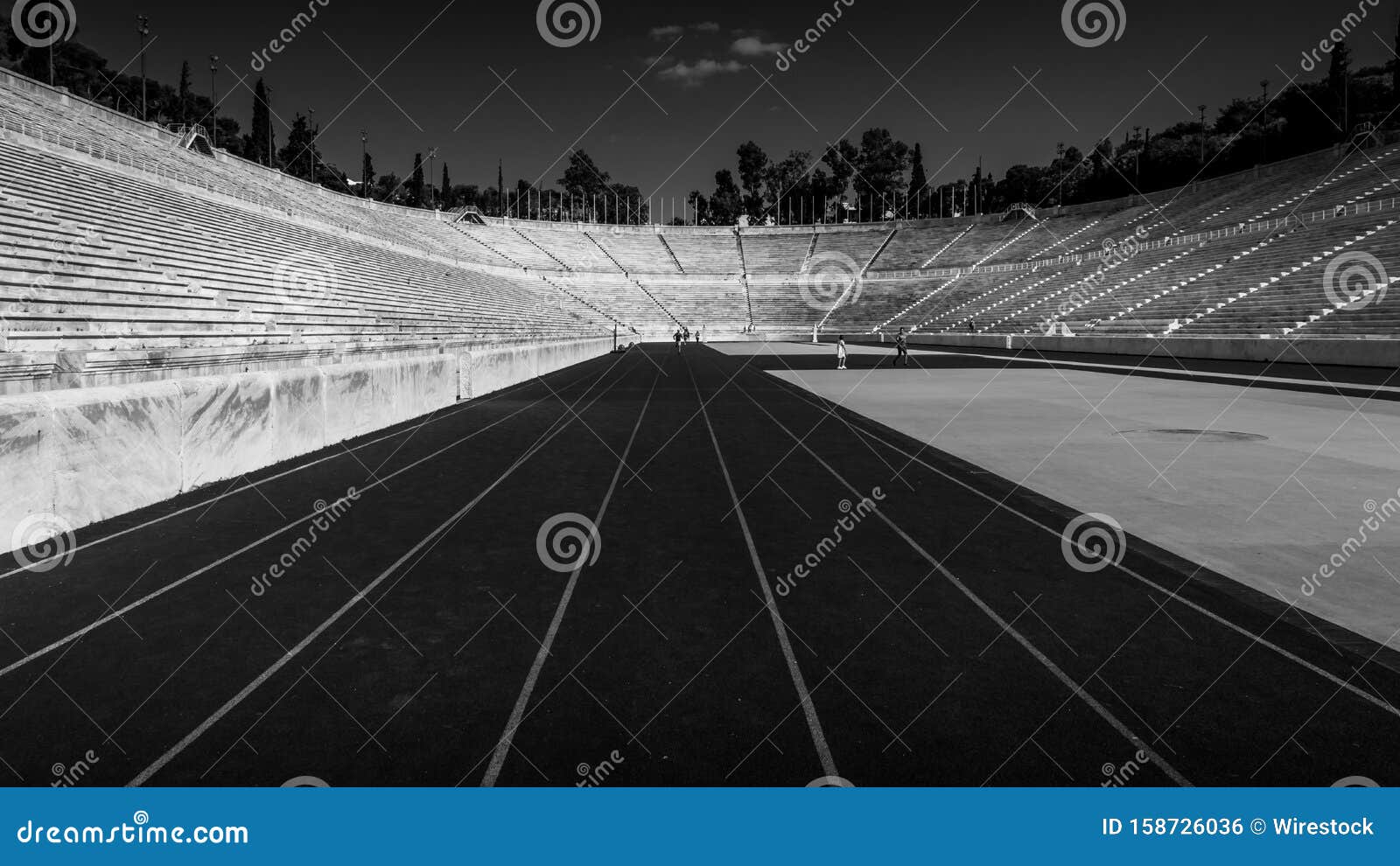 Grayscale of an Empty Stadium at Night Surrounded by Beautiful Trees ...