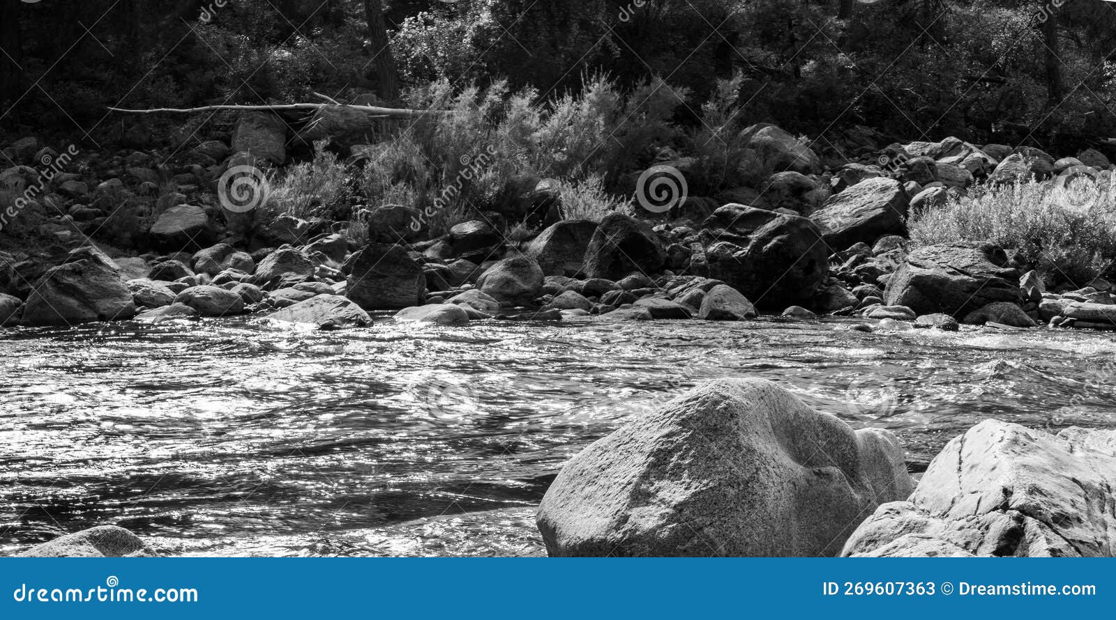 Grayscale of a Flowing Rocky River Stock Image - Image of summer ...