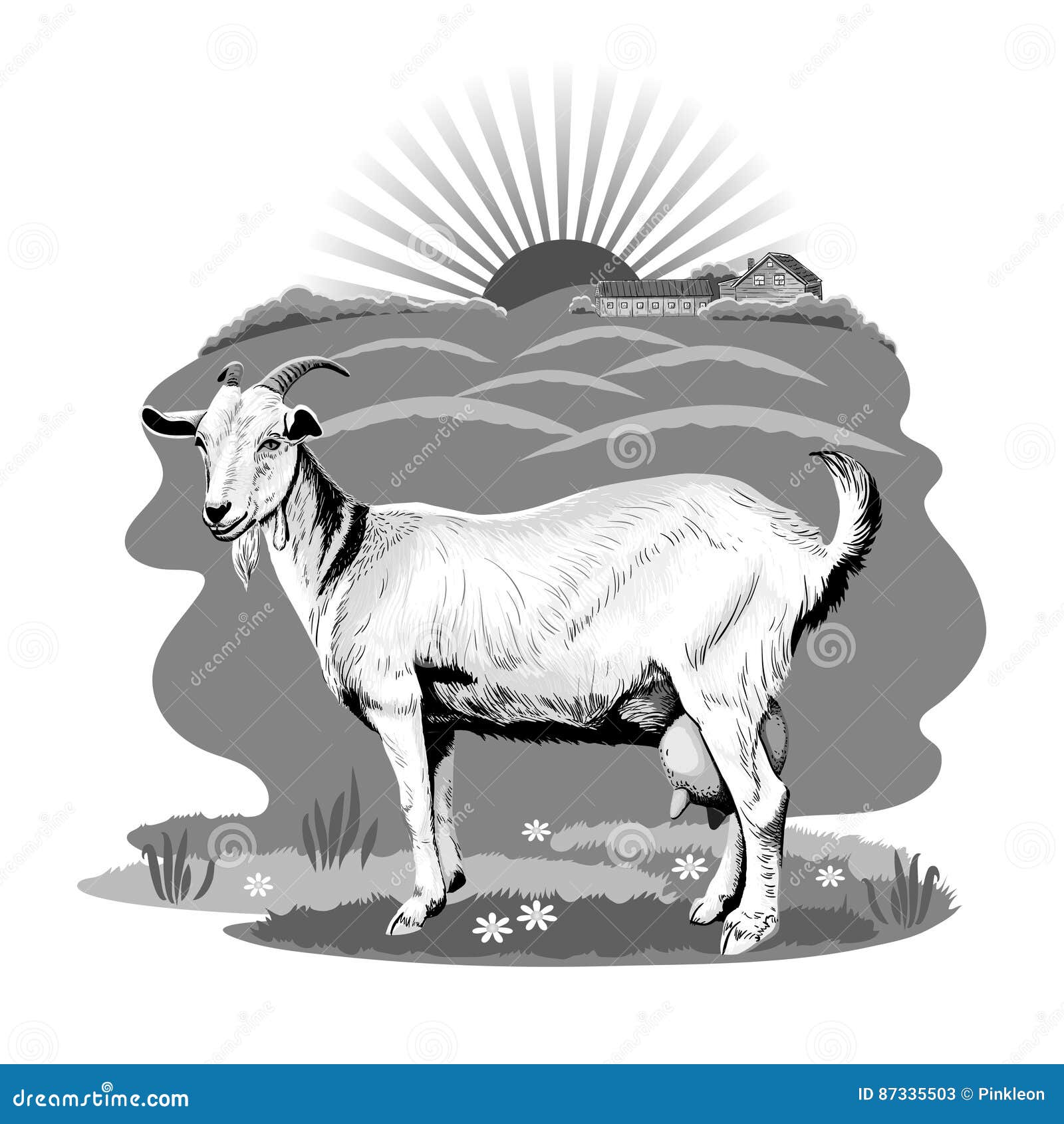 A Grayscale Image of a Goat Grazing in a Pasture Stock Illustration ...