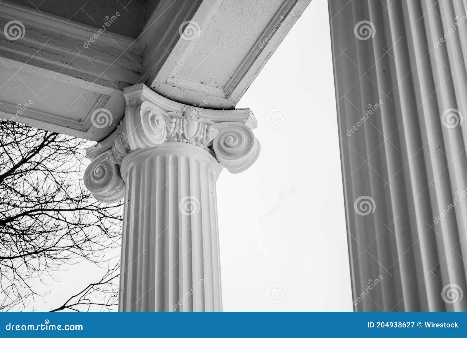 Ionic Pillars Royalty-Free Stock Photography | CartoonDealer.com #51006473