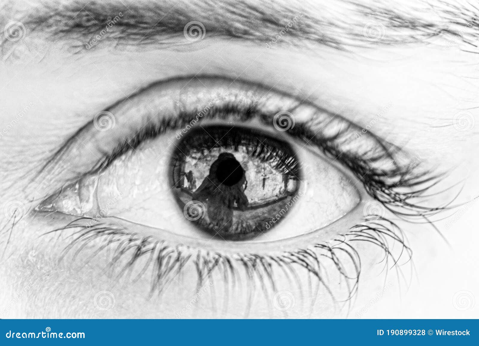 Grayscale Macro Closeup Shot of a Human Eye with the Reflection of the ...