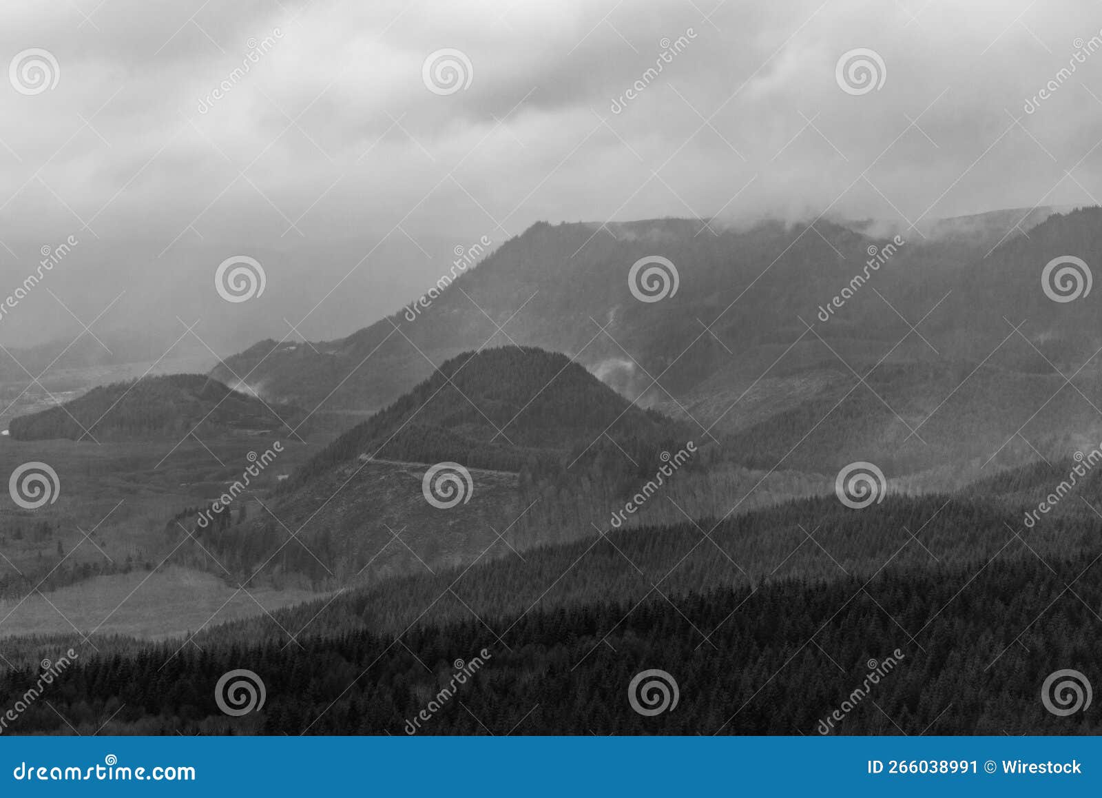 Grayscale of Mountains and Forests in Mount St. Helens Volcanic ...