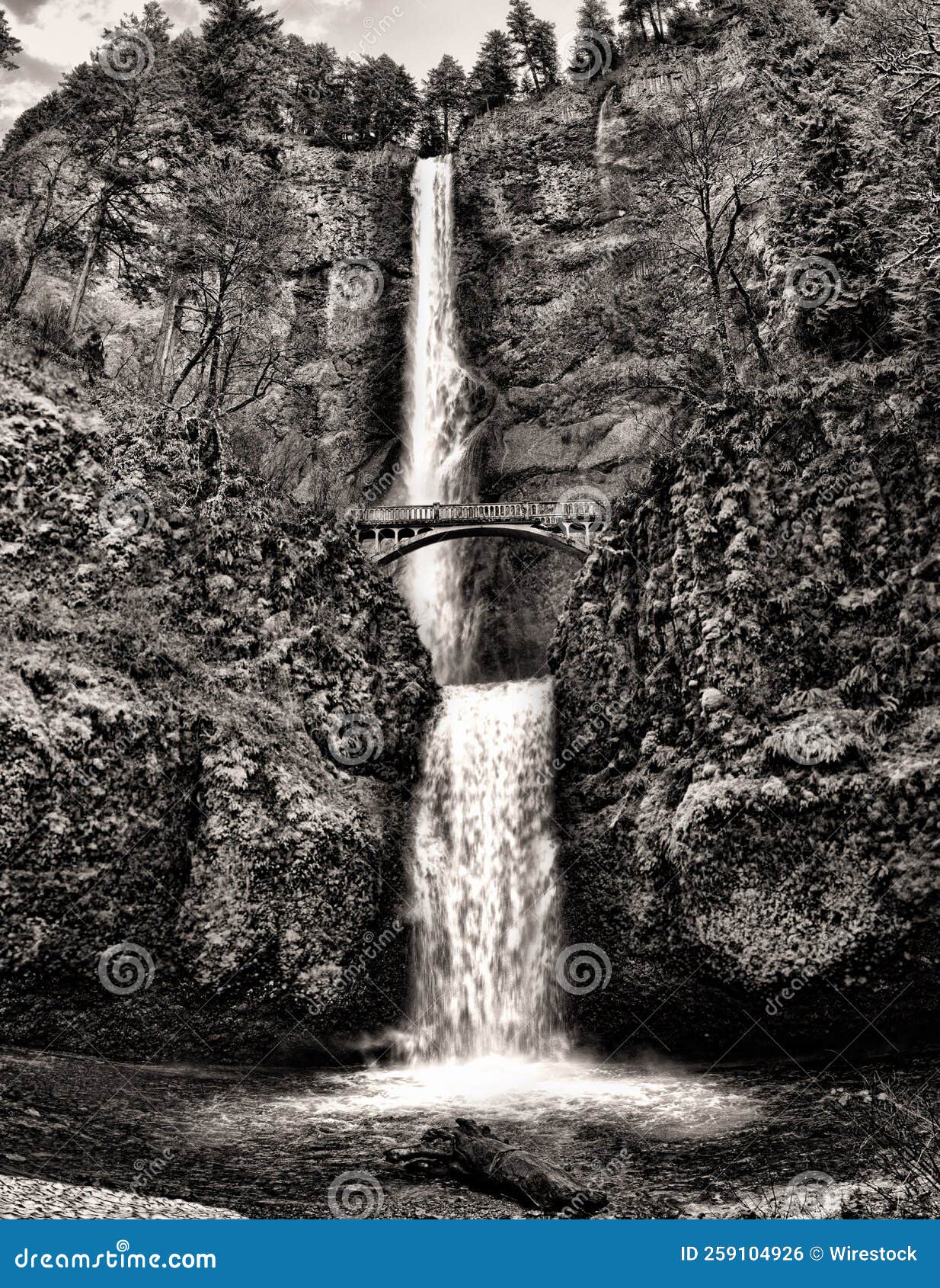 Grayscale of the Multnomah Falls with the Bridge Stock Photo - Image of ...
