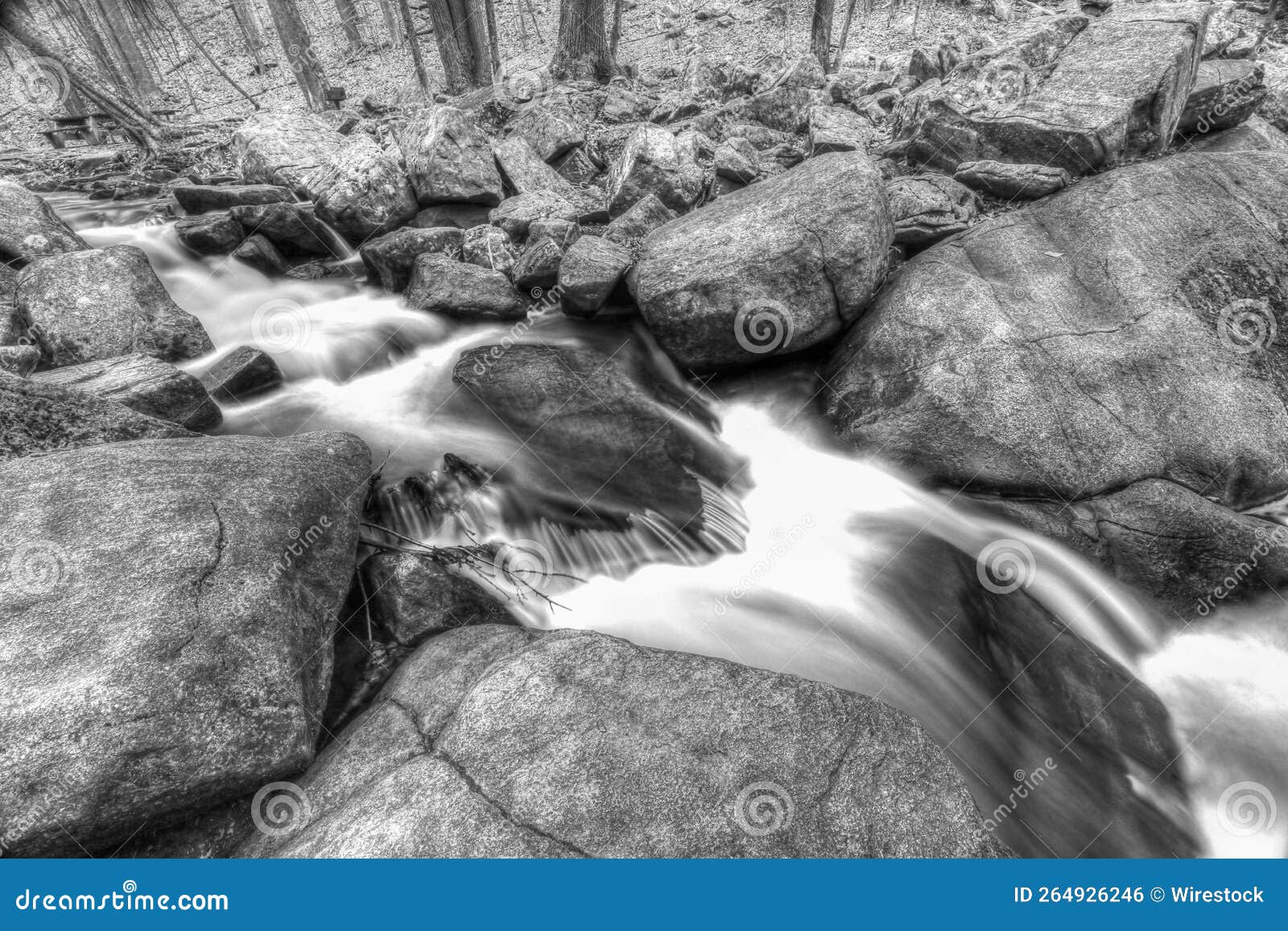 Grayscale of a Narrow Stream Flowing Down a Wilderness Surrounded by ...