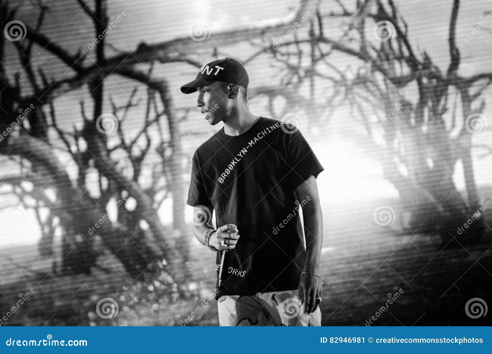 Grayscale Photo Of A Person Near Leafless Trees Picture. Image: 82946981