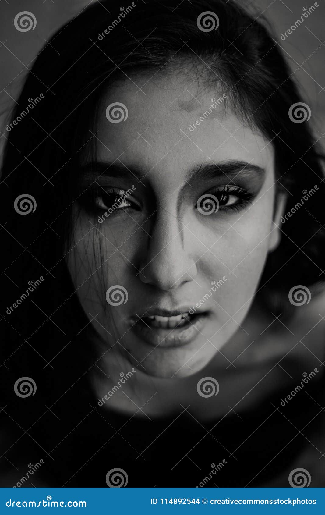 Grayscale Photo Of Woman Picture. Image: 114892544