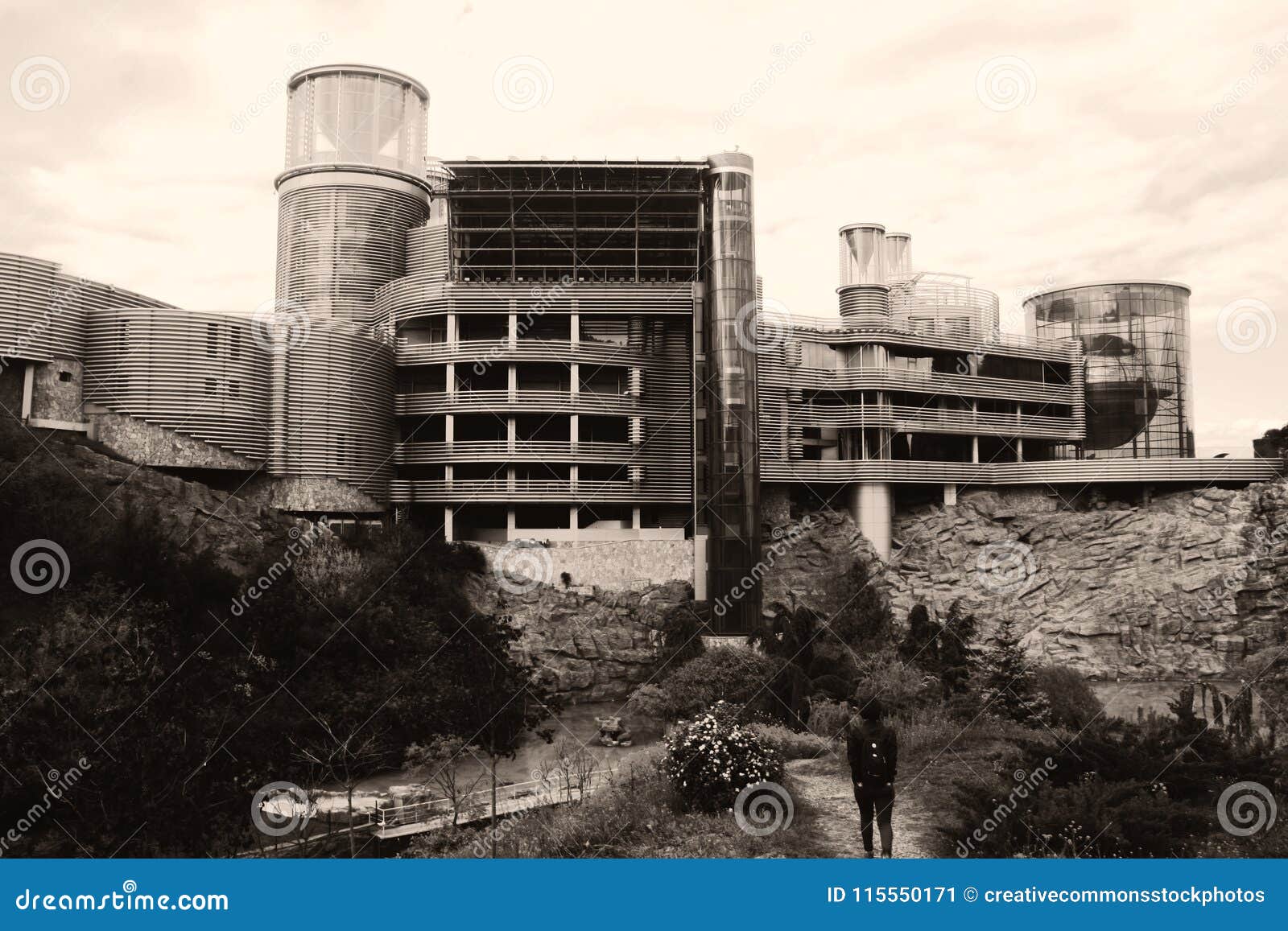 Grayscale Photography Of Person Looking At The Building Picture. Image ...