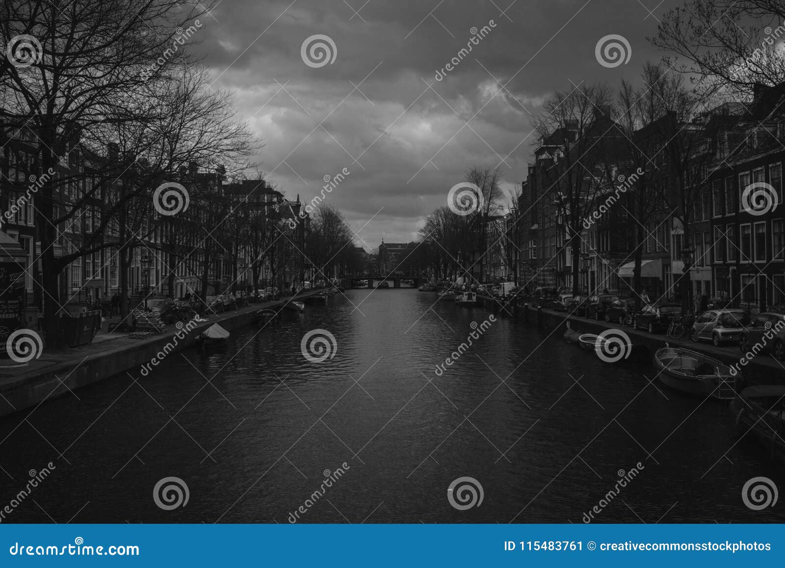 Grayscale Photography Of River Near Buildings Picture. Image: 115483761