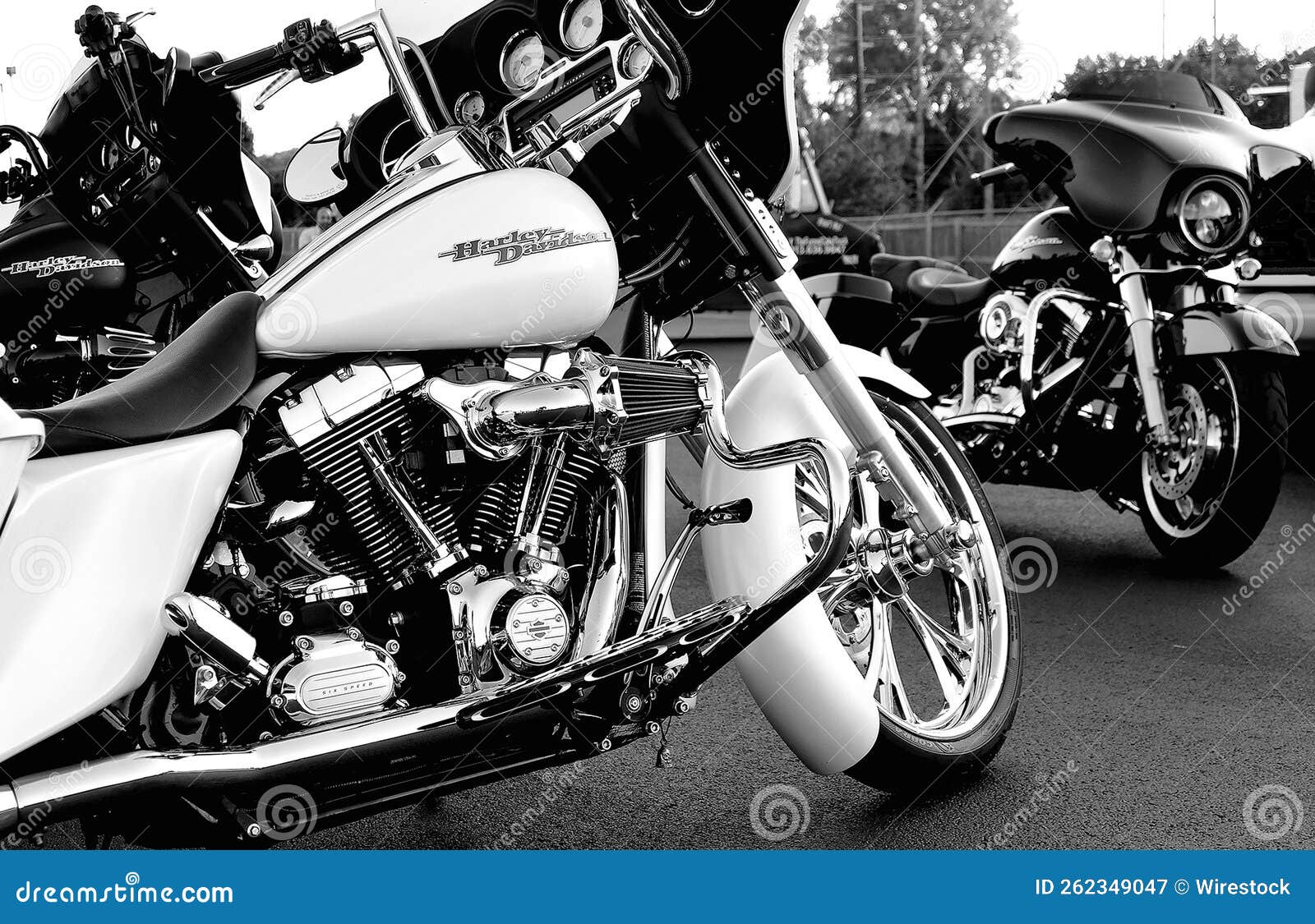 Grayscale of a Rare White Harley Davidson Motorcycle on the Road ...