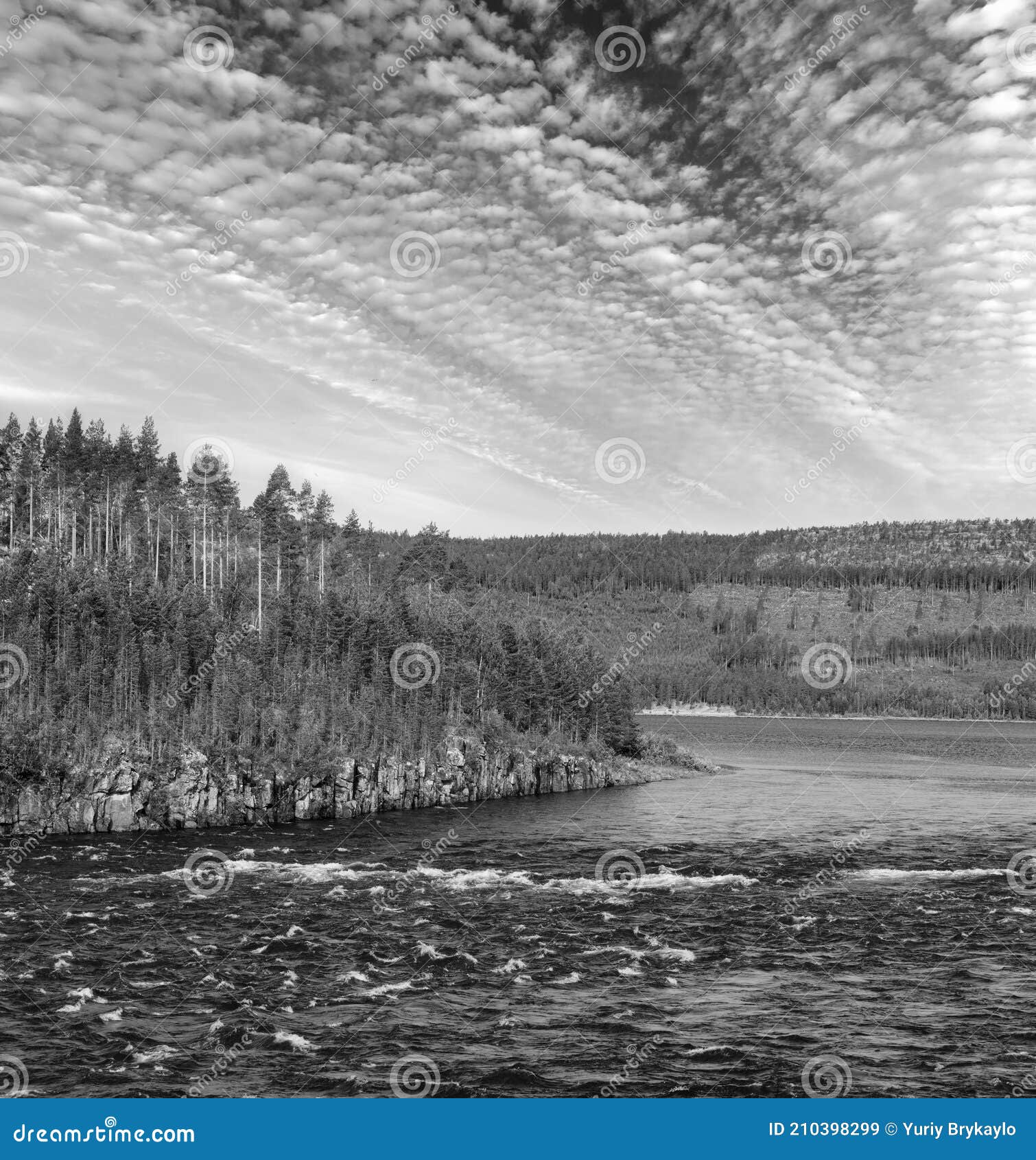Grayscale. a River in Sweden in the Summer Stock Image - Image of ...