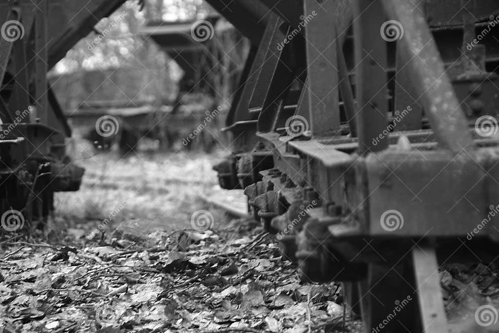 Grayscale of Rustic Metal Train Trailers on a Junk Yard Stock Photo ...