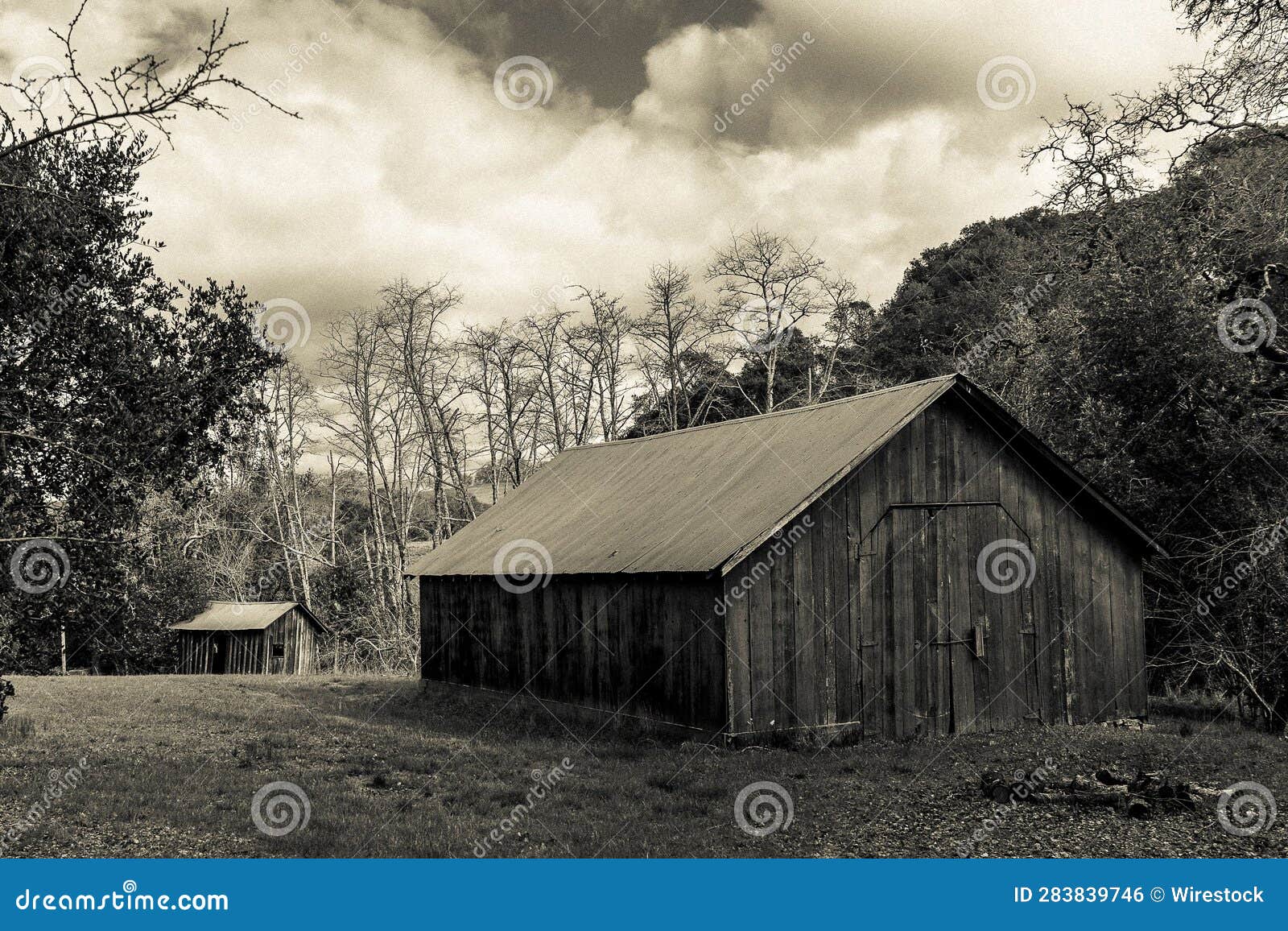 Grayscale of Rustic Wooden Barn in the Middle of a Meadow, Surrounded ...