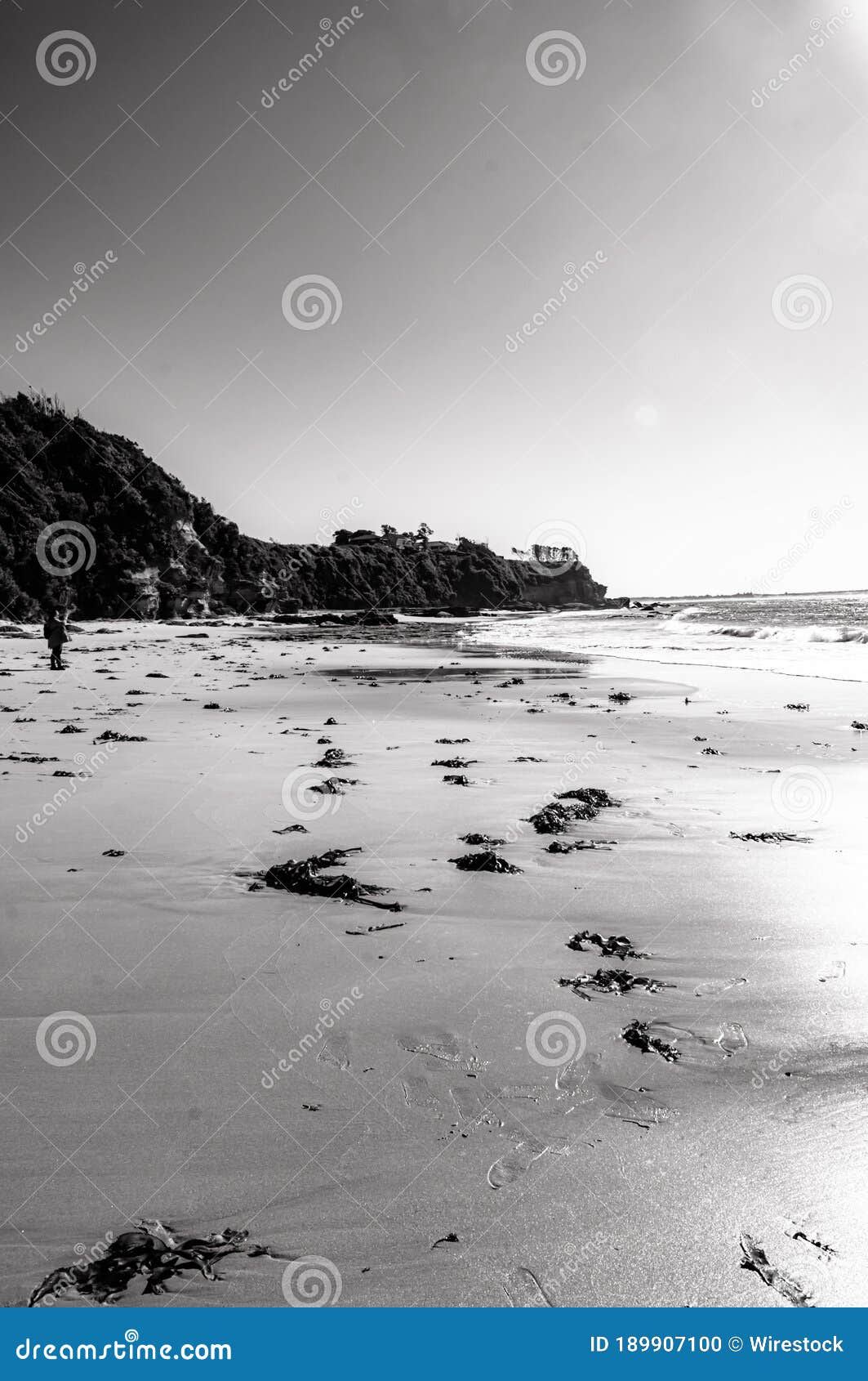 Grayscale Scenery of a Beautiful Sandy Beach on a Blue Seascape ...