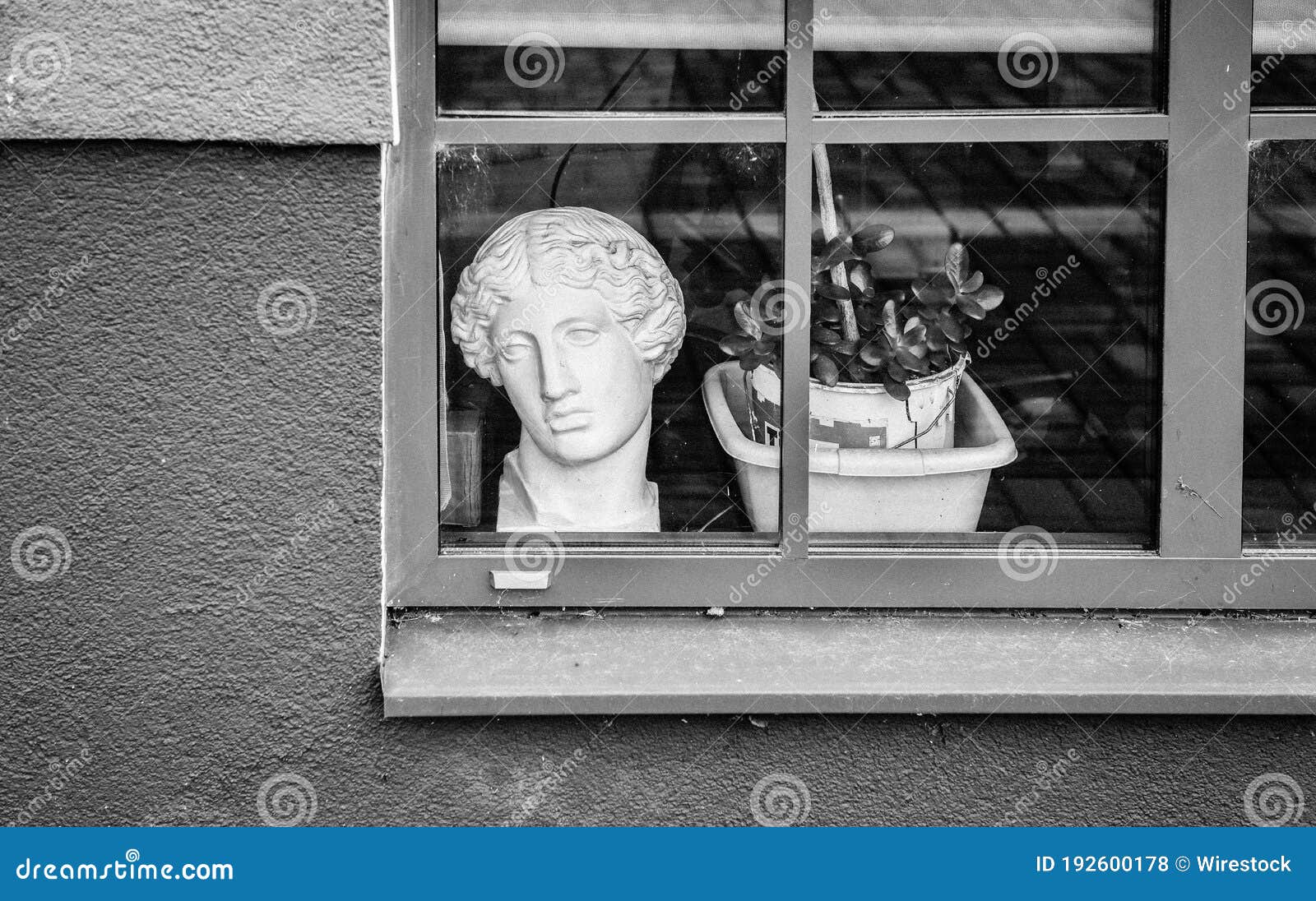 Grayscale Shot of Apollo S Head Statue in a Glass Window Editorial ...