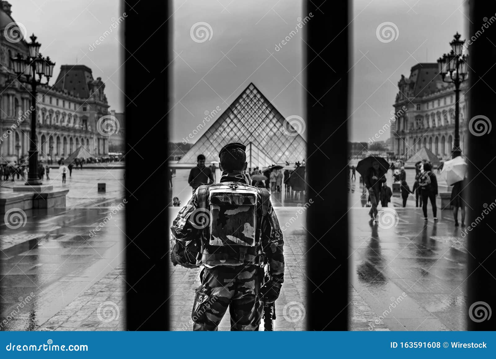 Grayscale Shot of the Back of the Guardian in Front of the Pyramid of ...