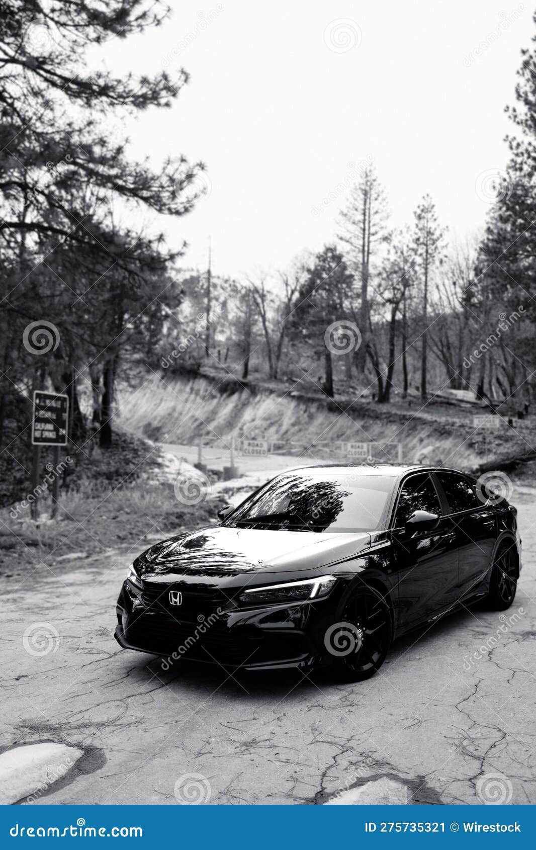 Grayscale Shot of a Black Honda Civic Car. Editorial Photo - Image of ...