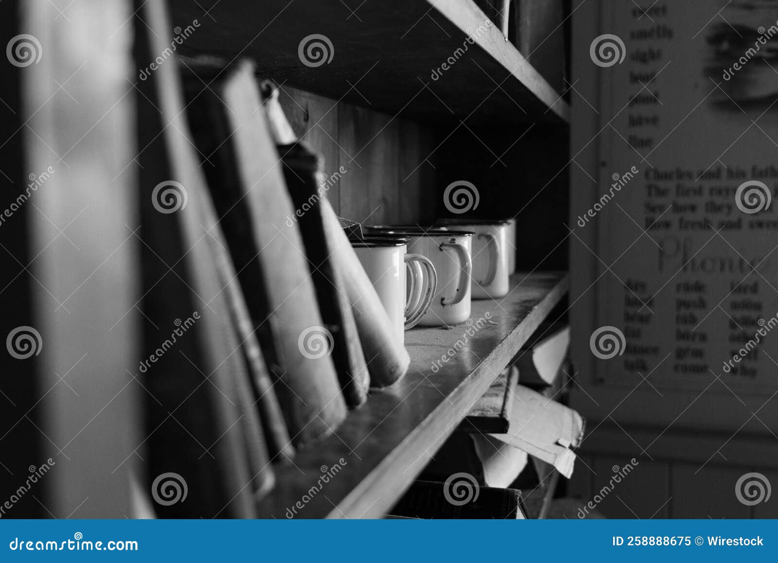 Grayscale Shot of Books on an Old Bookshelf Stock Image - Image of ...