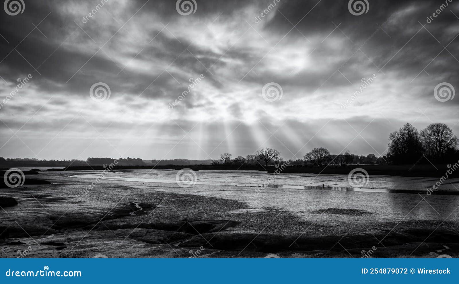 Grayscale Shot of the Bright Sun Rays in the Cloudy Sky Warming the Wet ...