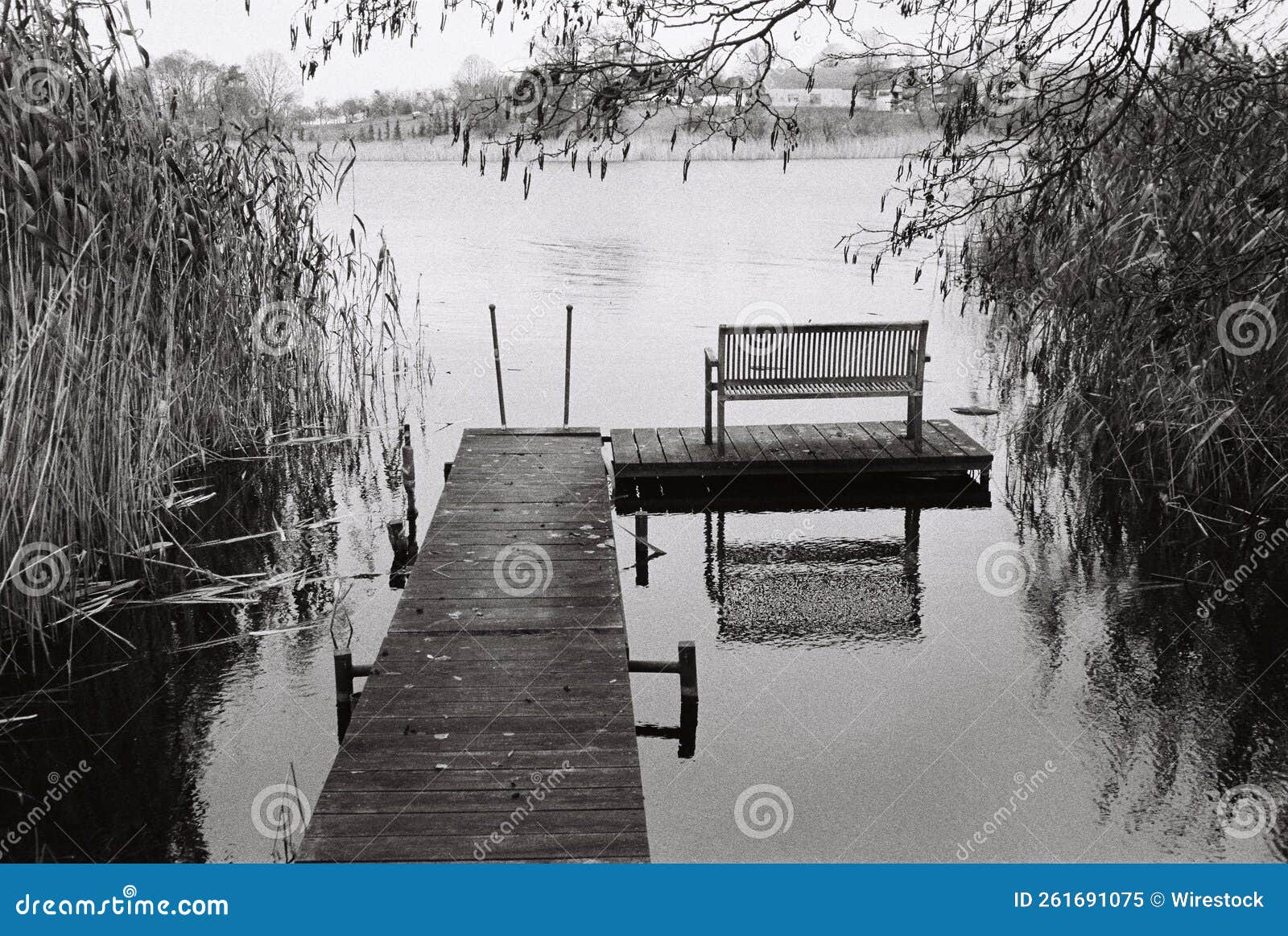 Grayscale Shot of a Dock with an Empty Bench Surrounded by Reeds. Stock ...