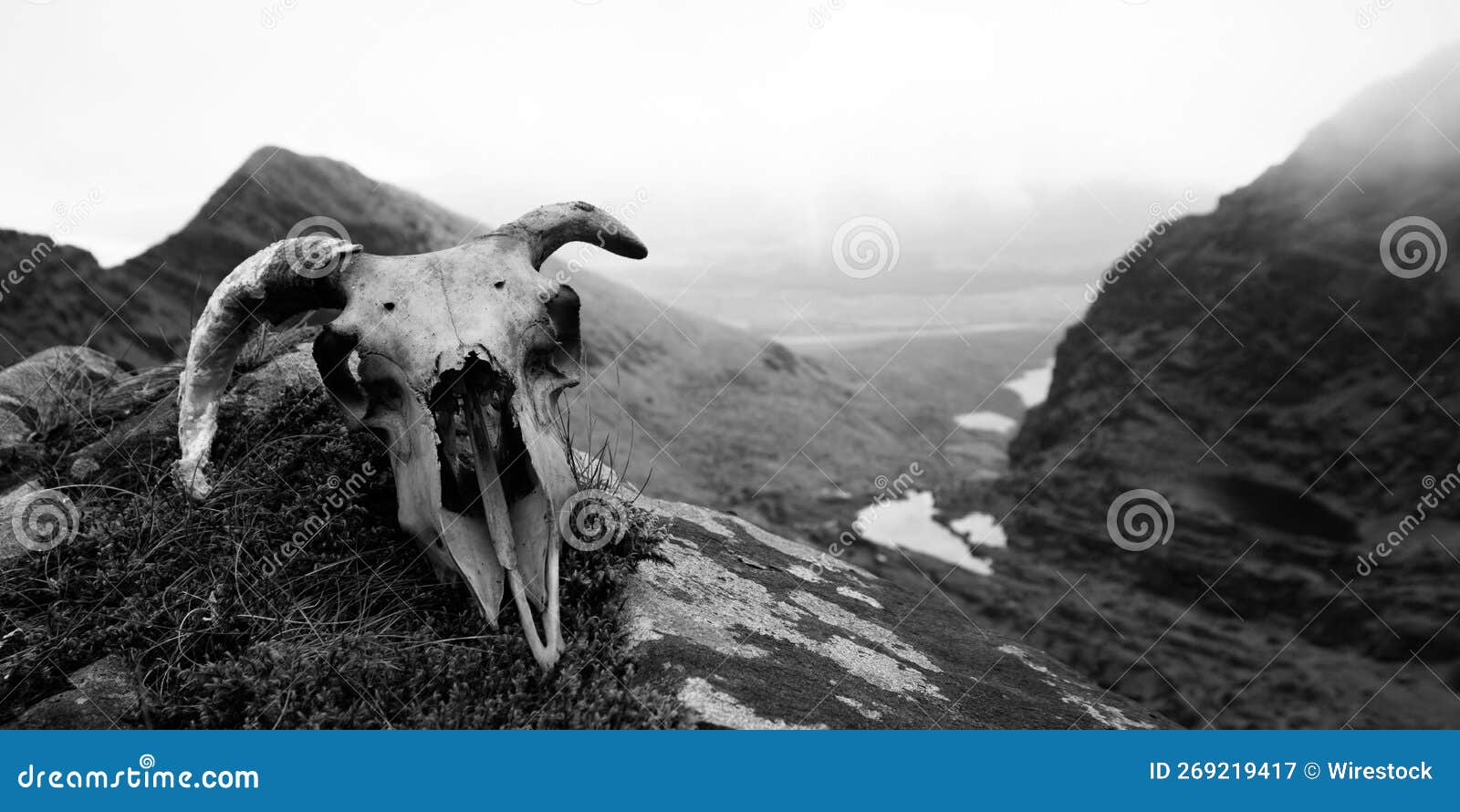 Grayscale Shot of Dusty Mountains with a Skull in the Foreground. Stock ...