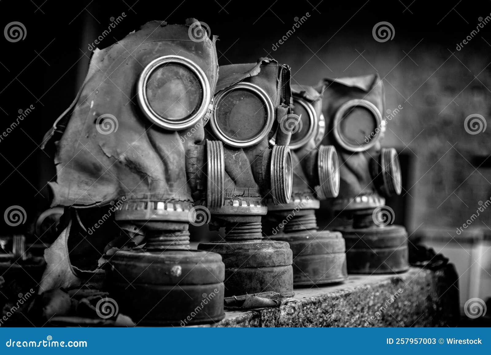 Grayscale Shot of Four Toxic Gas Masks Stock Image - Image of chemical ...