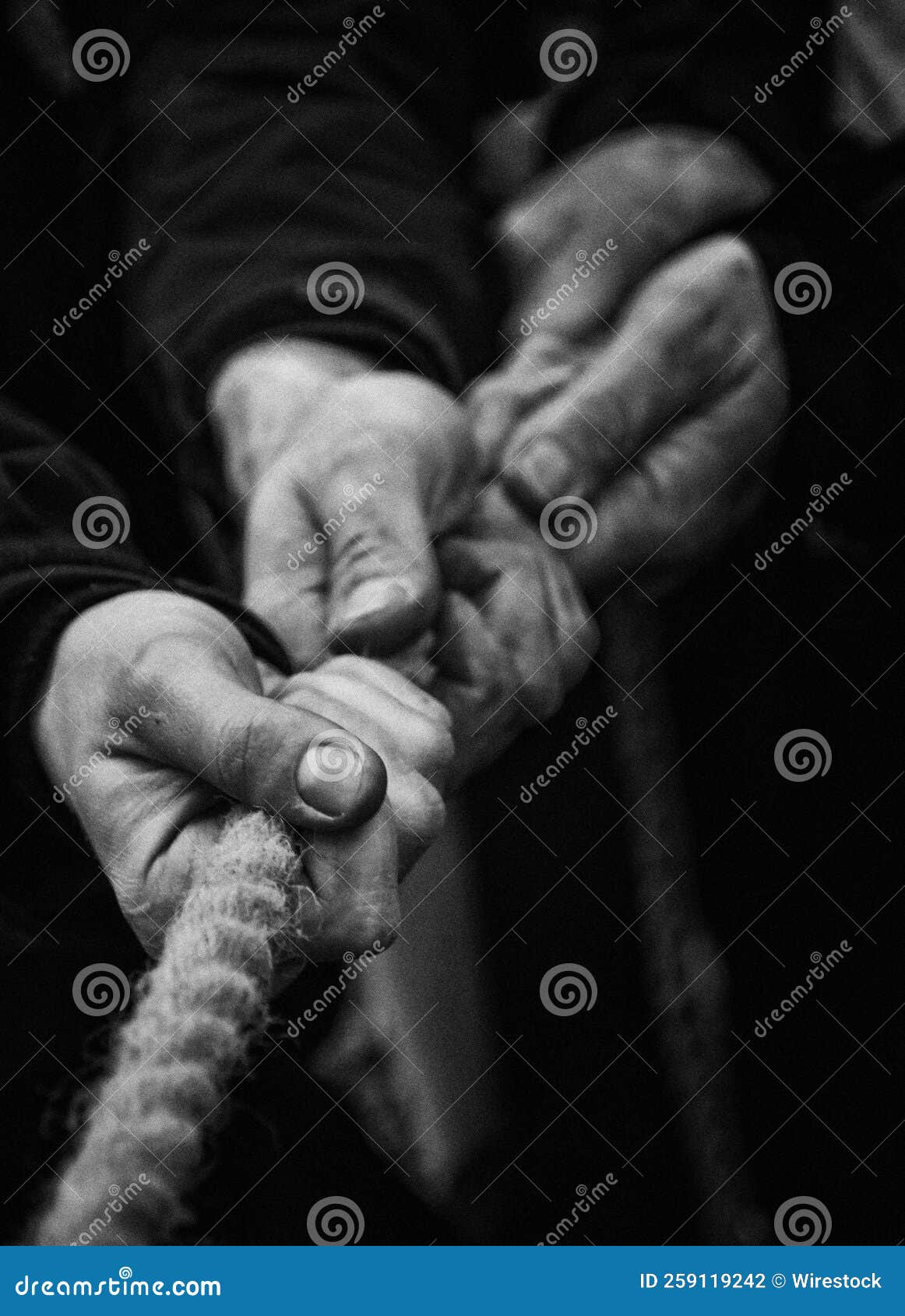 Grayscale Shot of Hands Pulling a Rope while Playing Tug of War ...