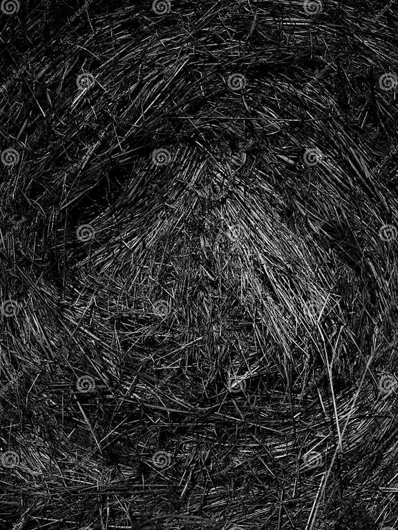 Grayscale Shot of a Haystack Texture Stock Image - Image of haystack ...