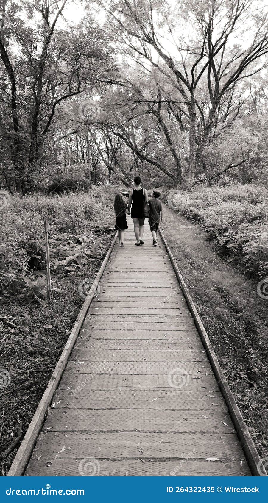Grayscale Shot of People Walking on a Long Path Stock Image - Image of ...