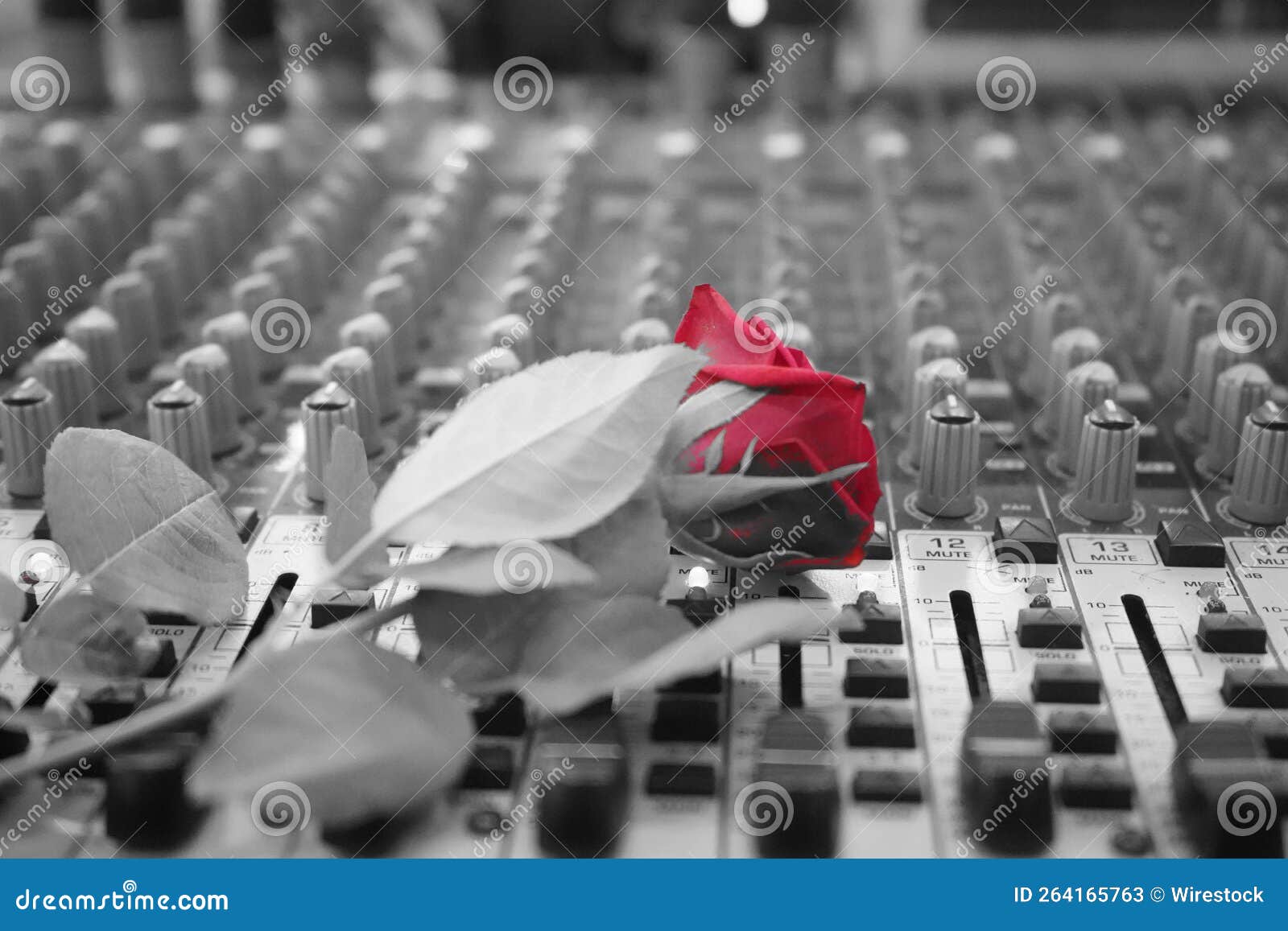Grayscale Shot of a Red Rose on a Sound Engineering Equalizer Stock ...