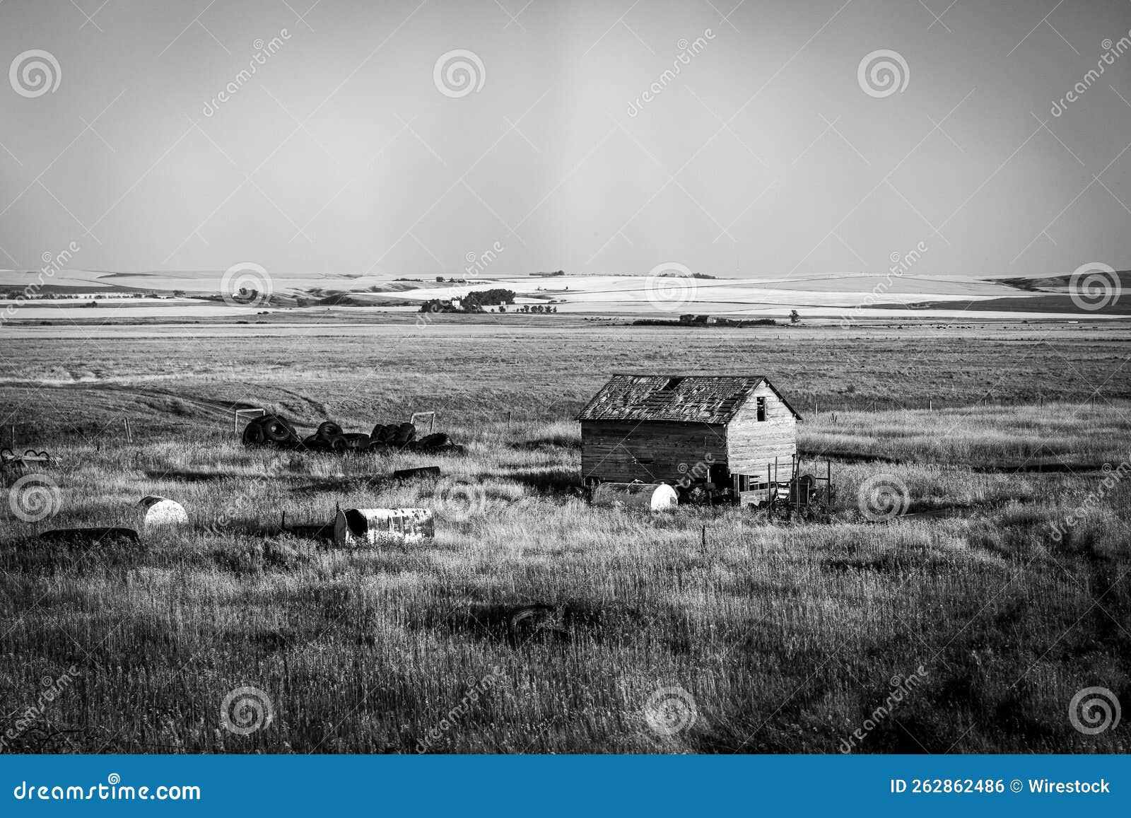 Grayscale Shot of a Rural Landscape in Alberta, Canada Stock Photo ...