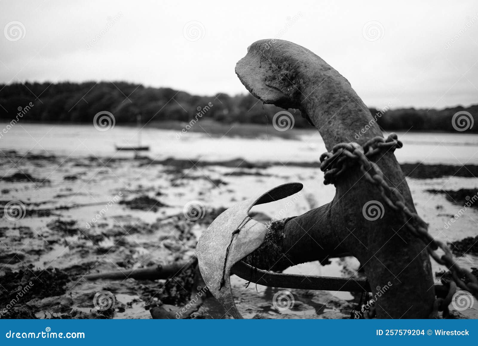 Grayscale Shot of a Rusty Antique Boat Anchor Stucking in the Mud Along ...