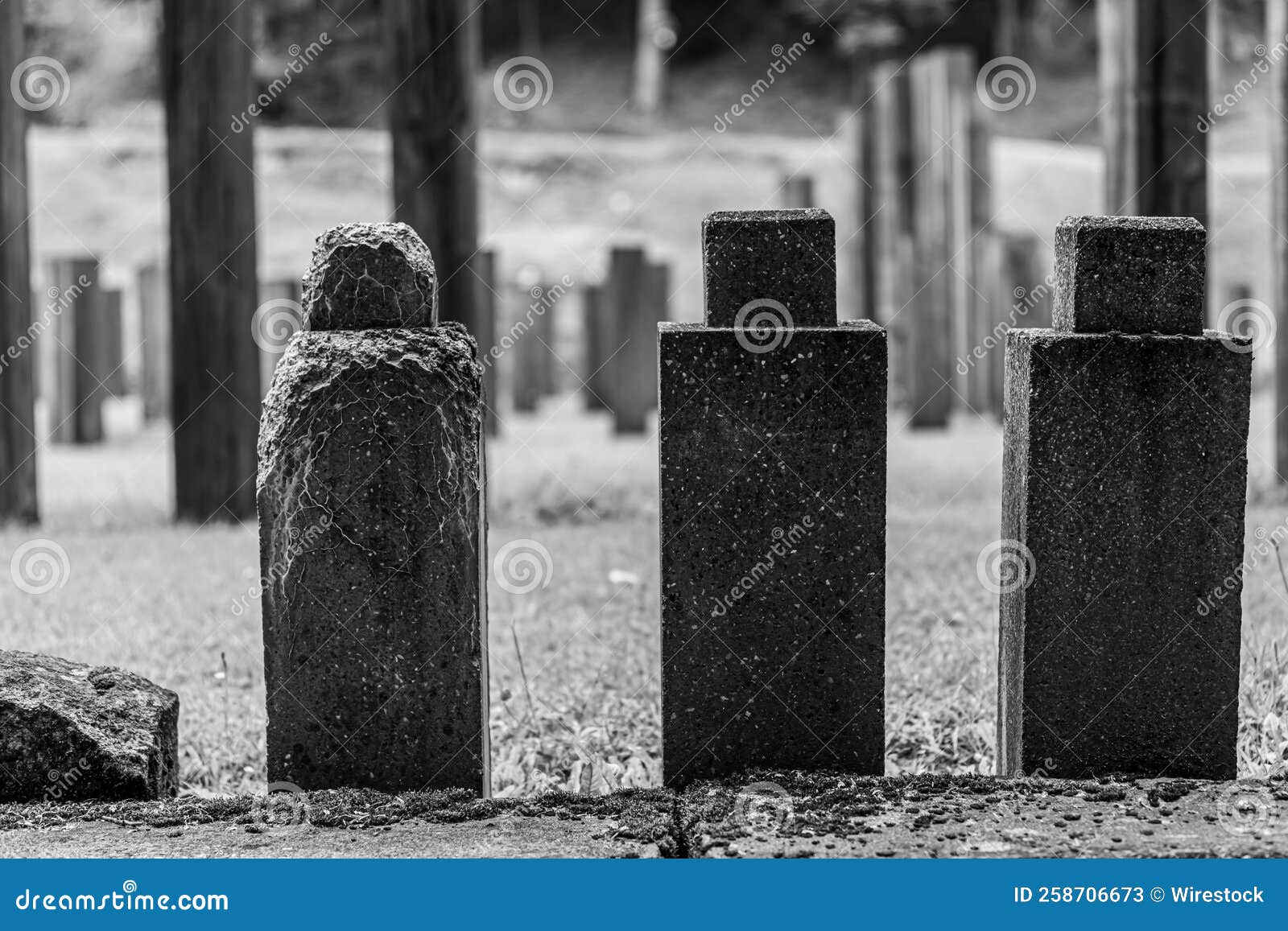 Grayscale Shot of Tombstones on a Graveyard Stock Image - Image of ...