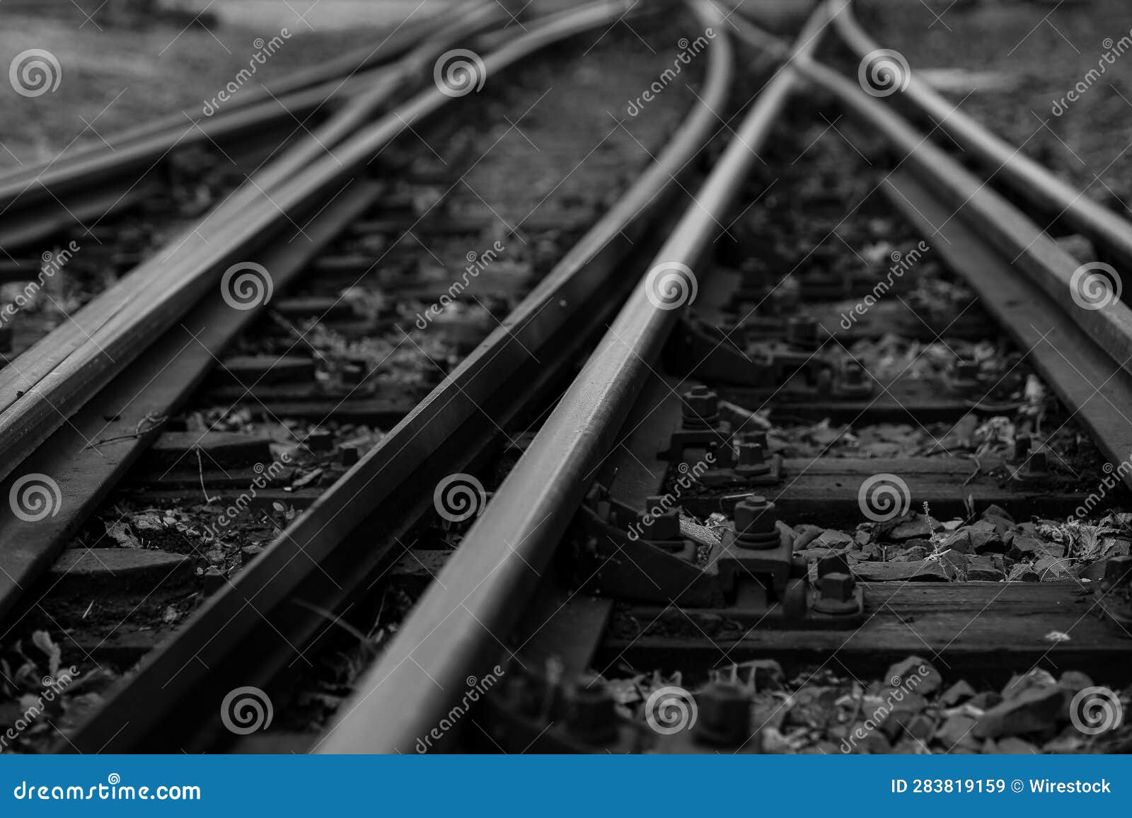 Grayscale Shot of Two Sets of Train Tracks, Side by Side. Stock Image ...