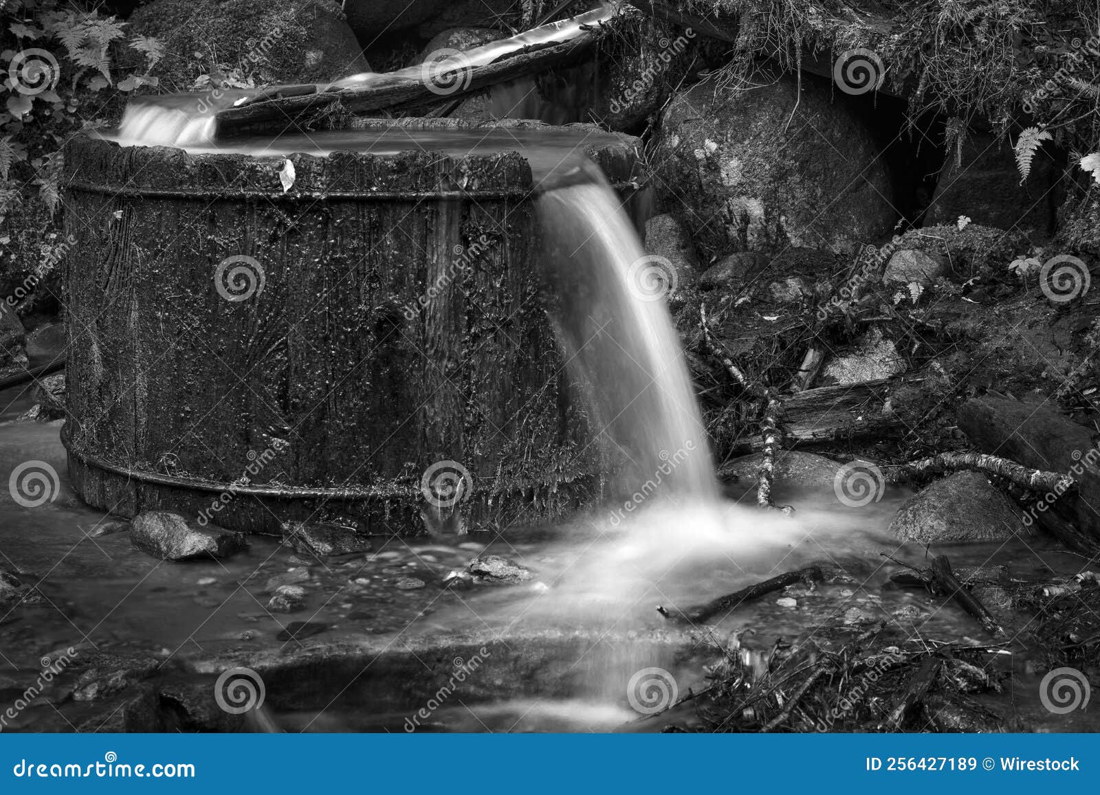 Grayscale Shot of a Water Pouring from a Tube Stock Image - Image of ...