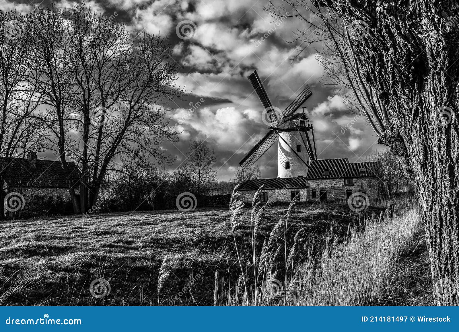 Grayscale Shot of a Windmill Next To a Field Stock Image - Image of ...