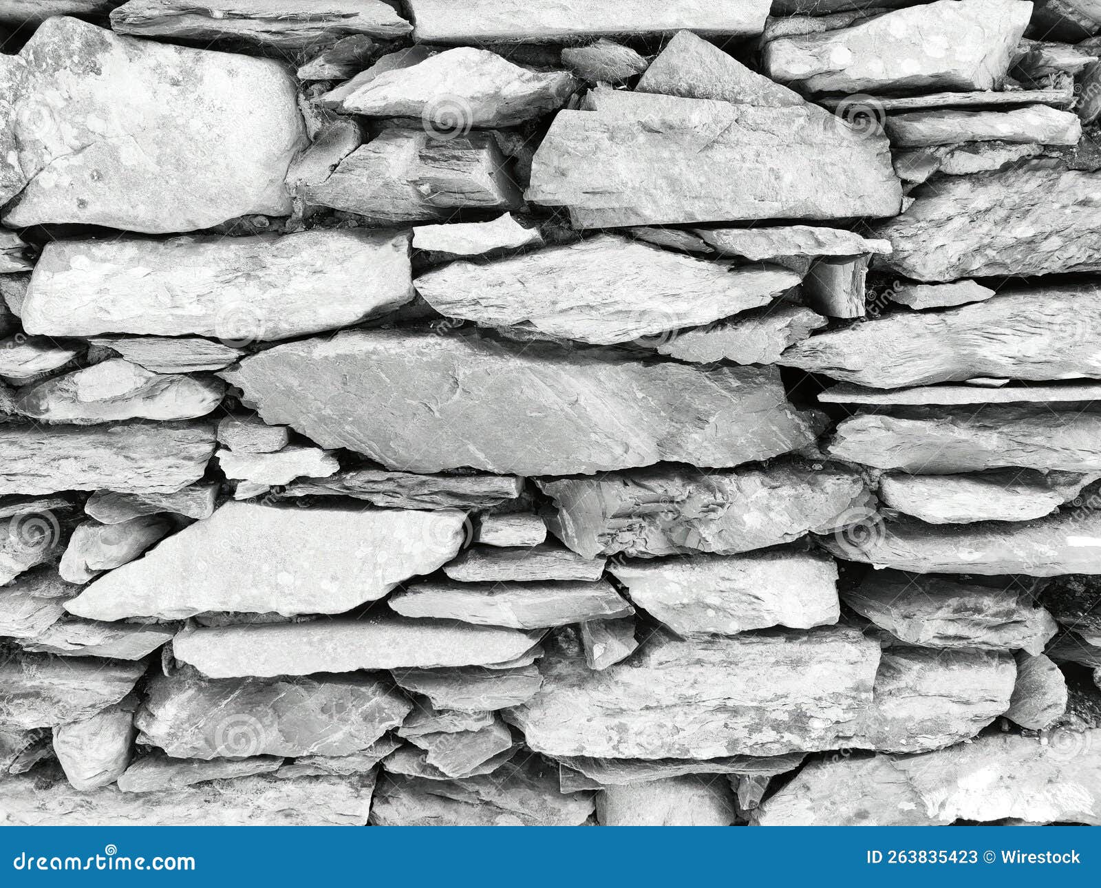 Grayscale Wood Texture With Realistic Natural Structure Vector ...