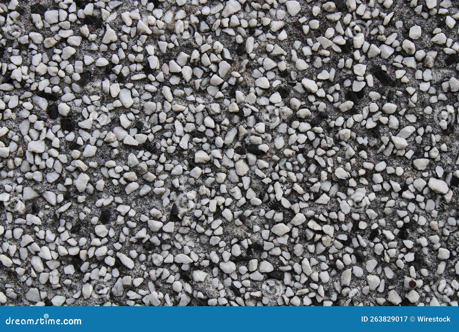 Grayscale Top View of Stones on the Ground Creates a Grainy Background ...