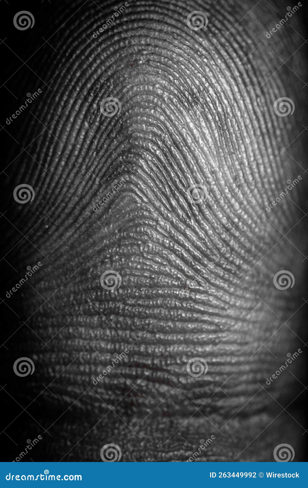 Dna Grayscale Stock Photos - Free & Royalty-Free Stock Photos from ...