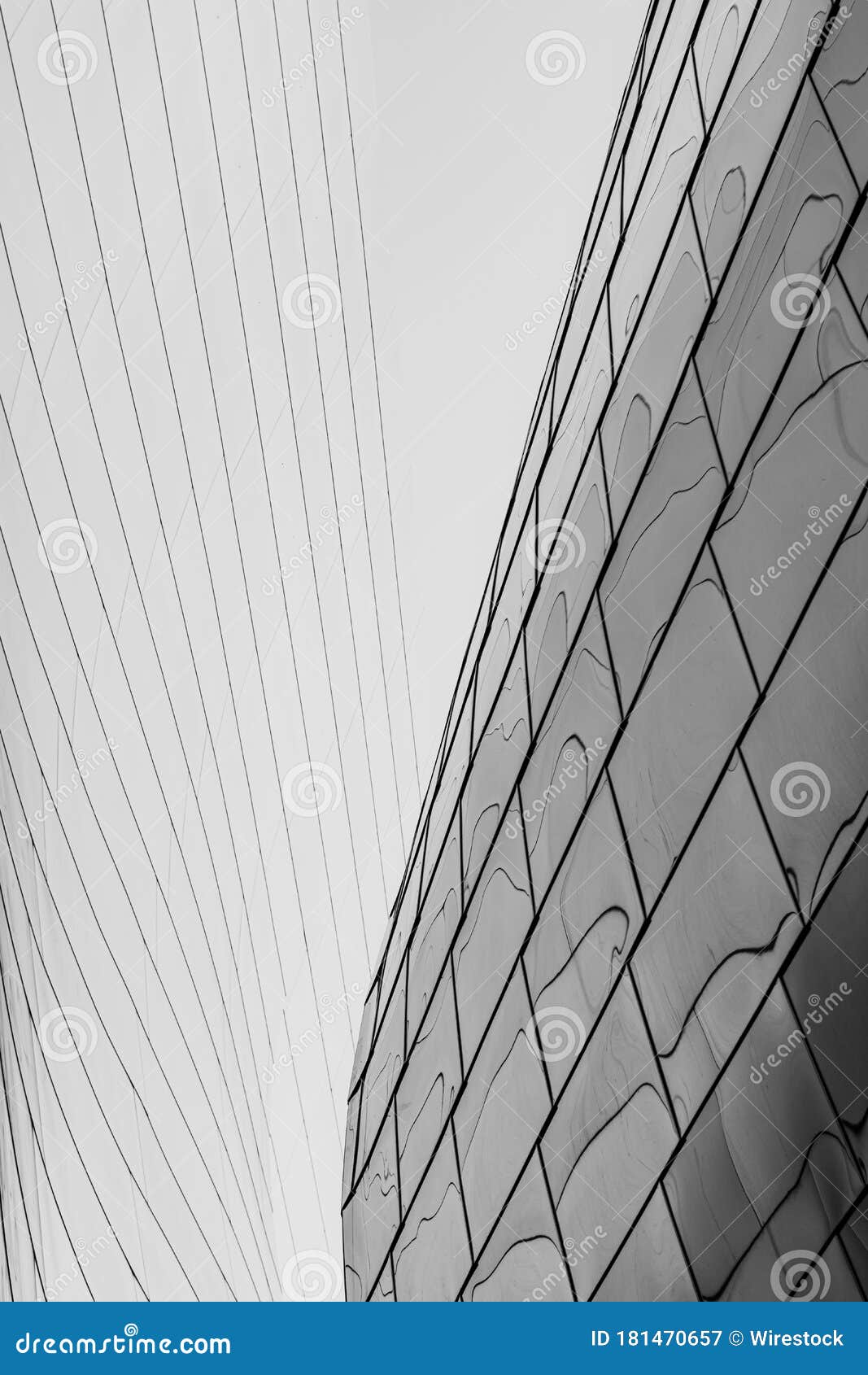 Grayscale Vertical Shot of a Reflective Glass of a Modern Architectural ...