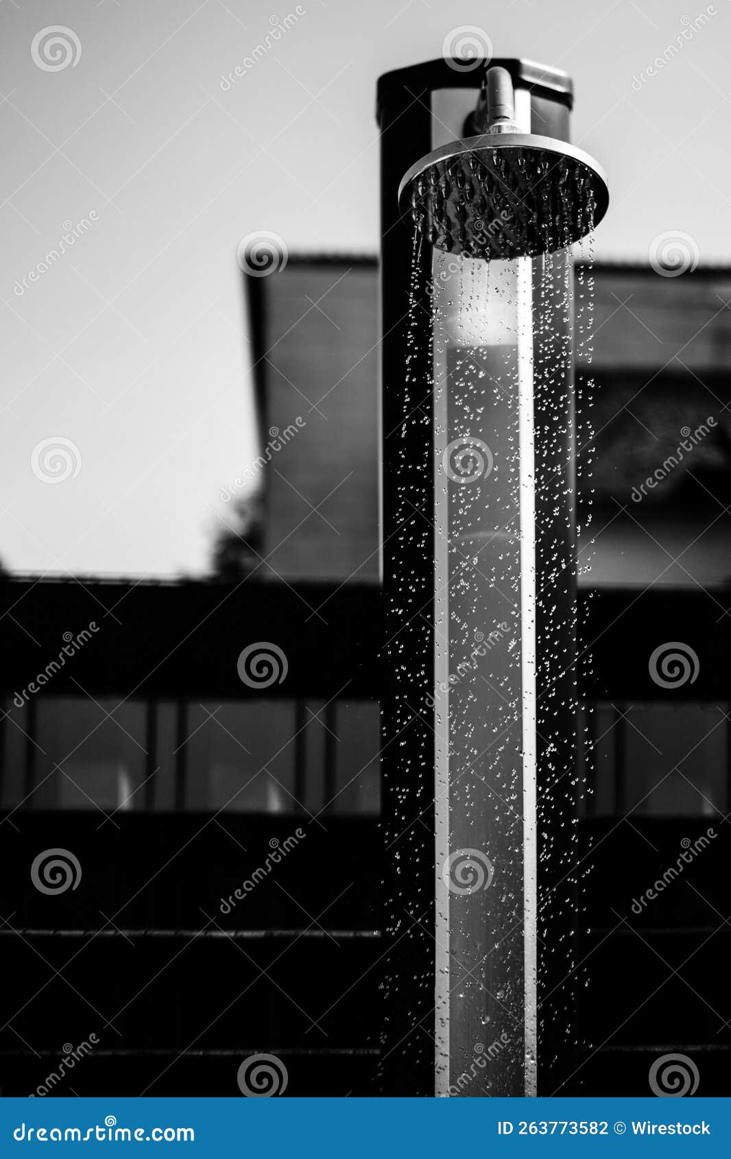 Grayscale Vertical Shot of Water Droplets Falling from a Shower Stock ...