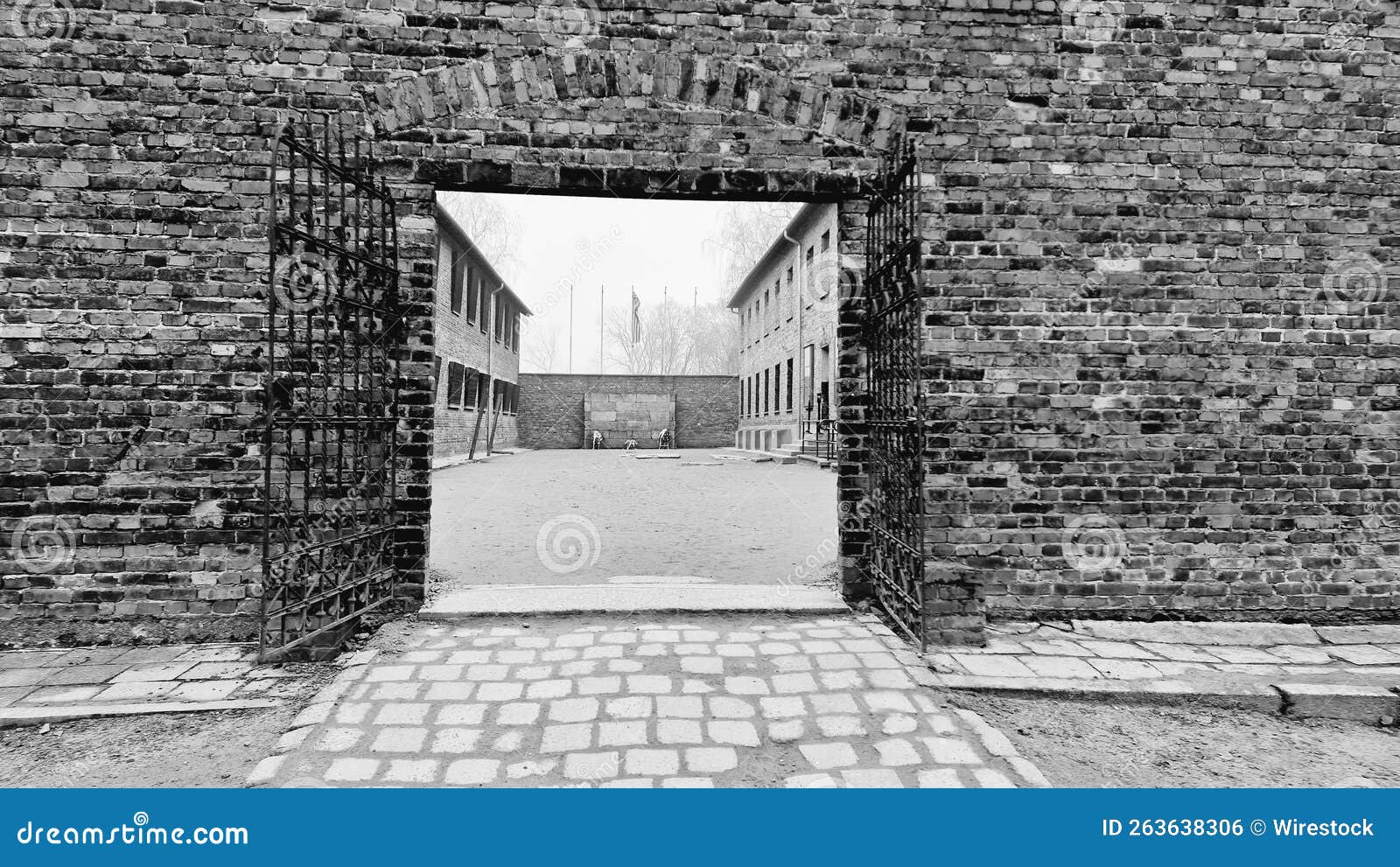 Grayscale View of the Execution Wall at Auschwitz Concentration Camp in ...