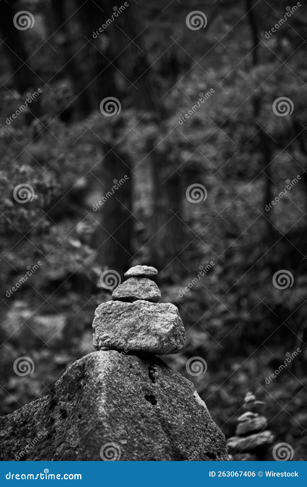 Grayscale View of a Stack of Balanced Stones in the Wood Stock Photo ...