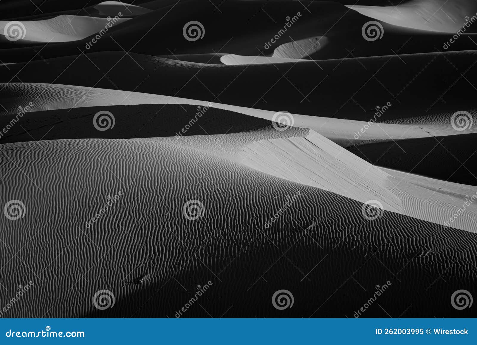 Grayscale Viewof Desert Sand Dune Stock Image - Image of heat, storm ...