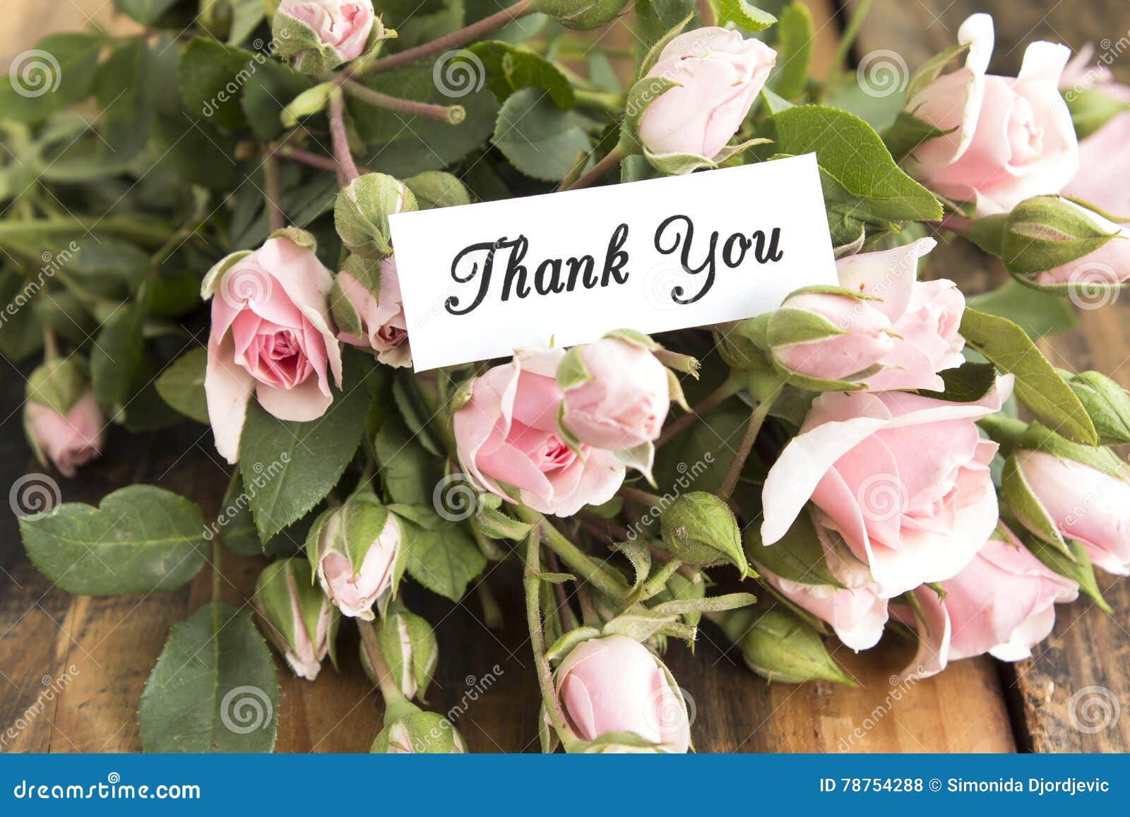 Grazie Cardare Con Il Mazzo Delle Rose Rosa Fotografia Stock - Immagine ... Grazie Cardare Con Il Mazzo Delle Rose Rosa Fotografia Stock - Immagine ...